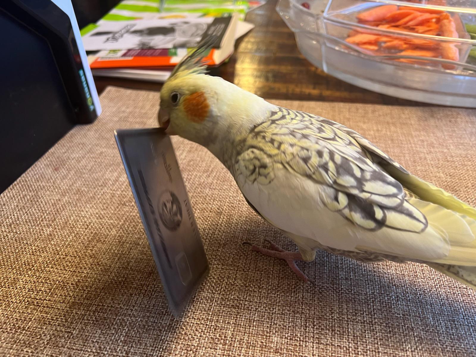 He steal | Scrolller