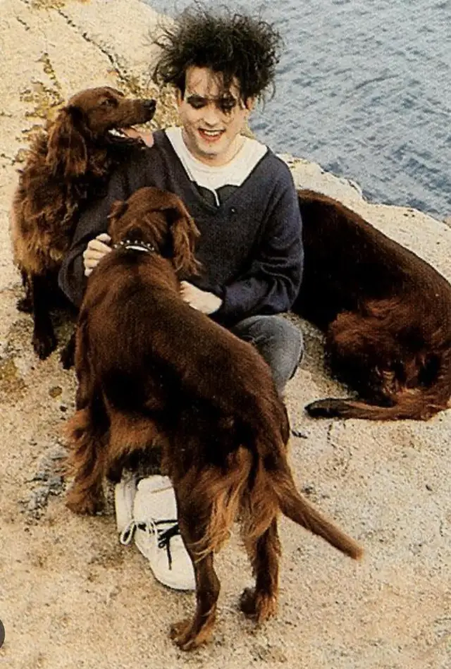 Robert Smith of The Cure smiling and playing with three Irish Setters (1990) | Scrolller