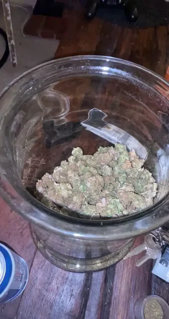 Australian weed | Scrolller