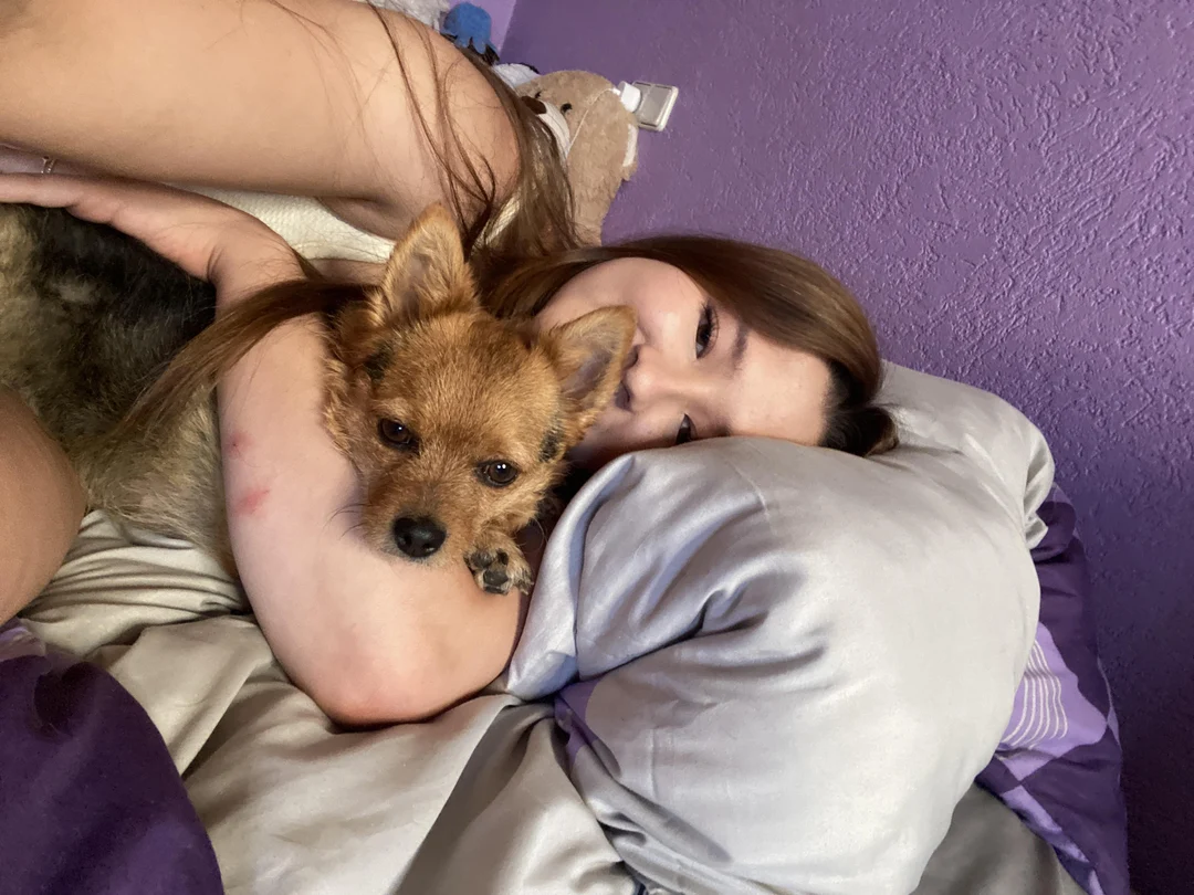 cute little doggo | Scrolller