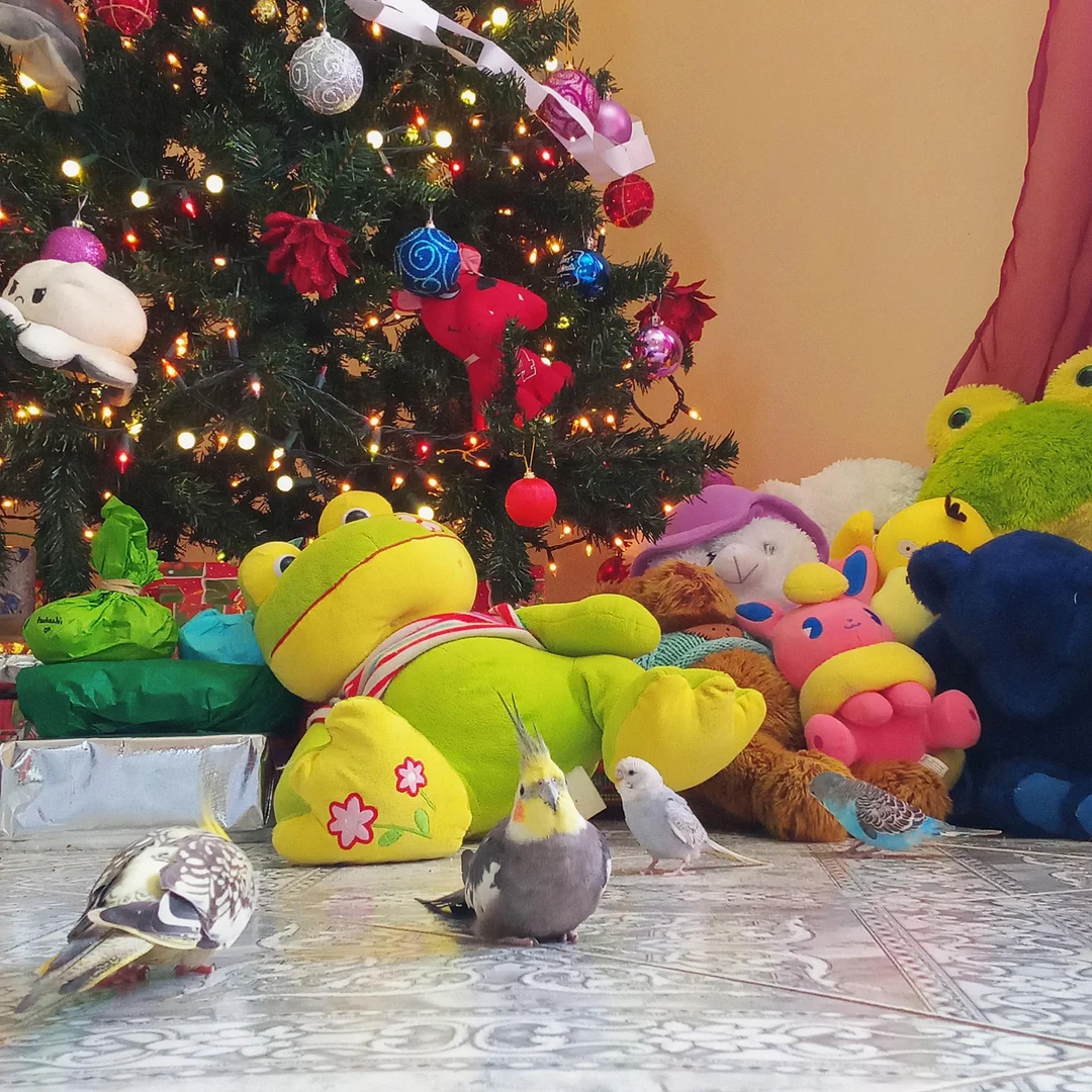 finally managed to get all my kiddos in one frame! | Scrolller