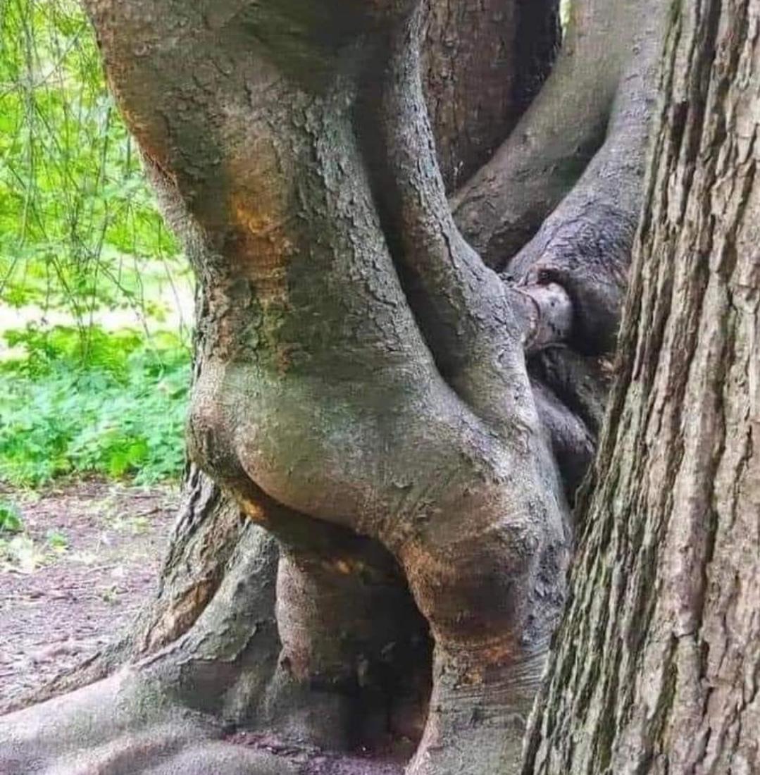 Making that Paper | Scrolller