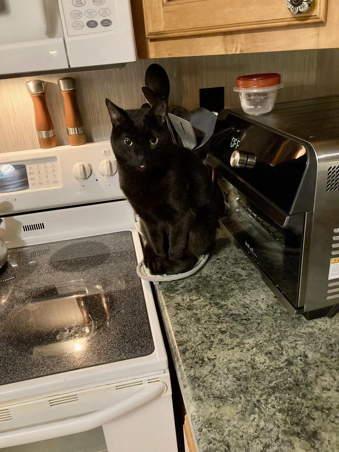 It’s a small trap, but effective | Scrolller