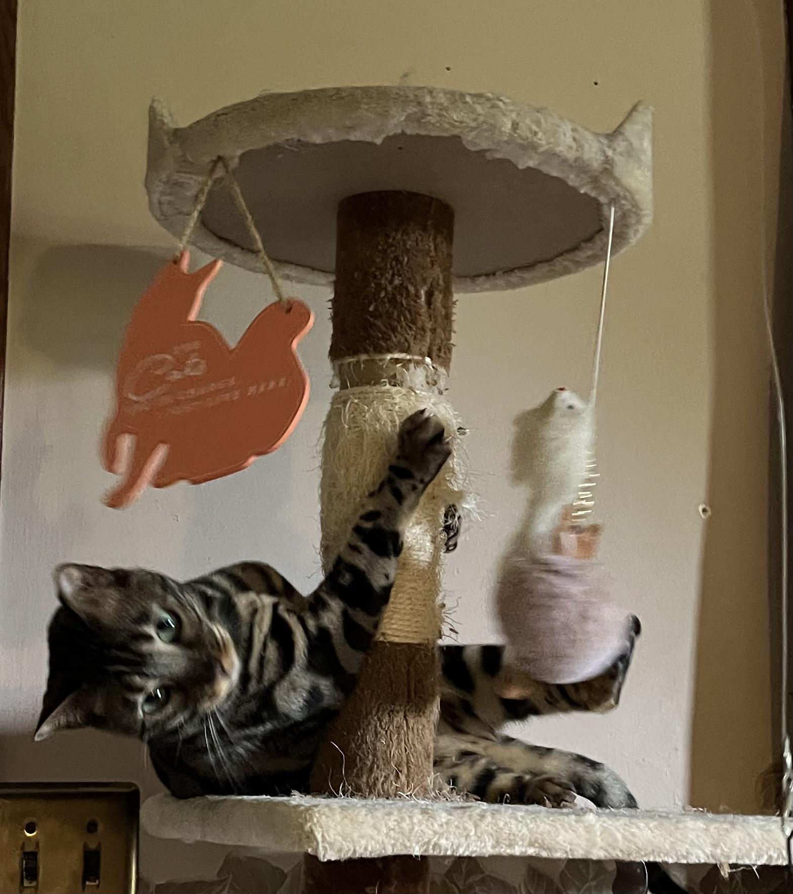 Helloooo there!!!! | Scrolller