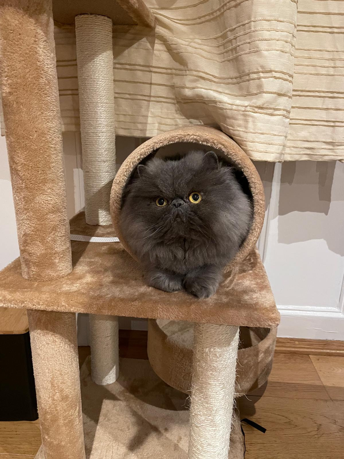 Happy new year from the blues brothers! | Scrolller