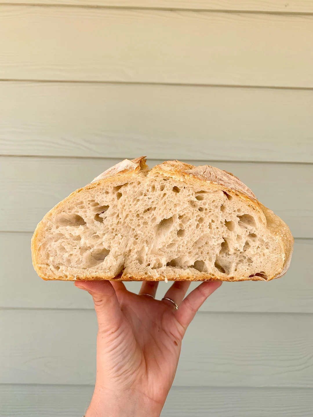 Discover more like Breadit: Rate my crumb and Related Content | Scrolller