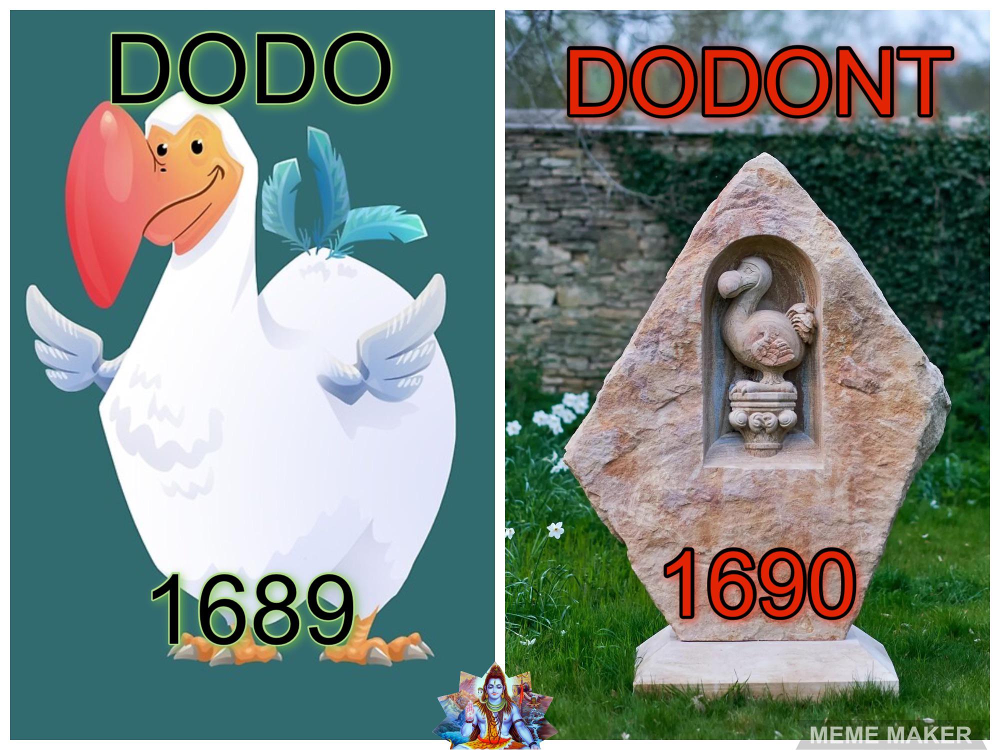 Extinction is Earth’s, “I’ve had enough of you.” | Scrolller