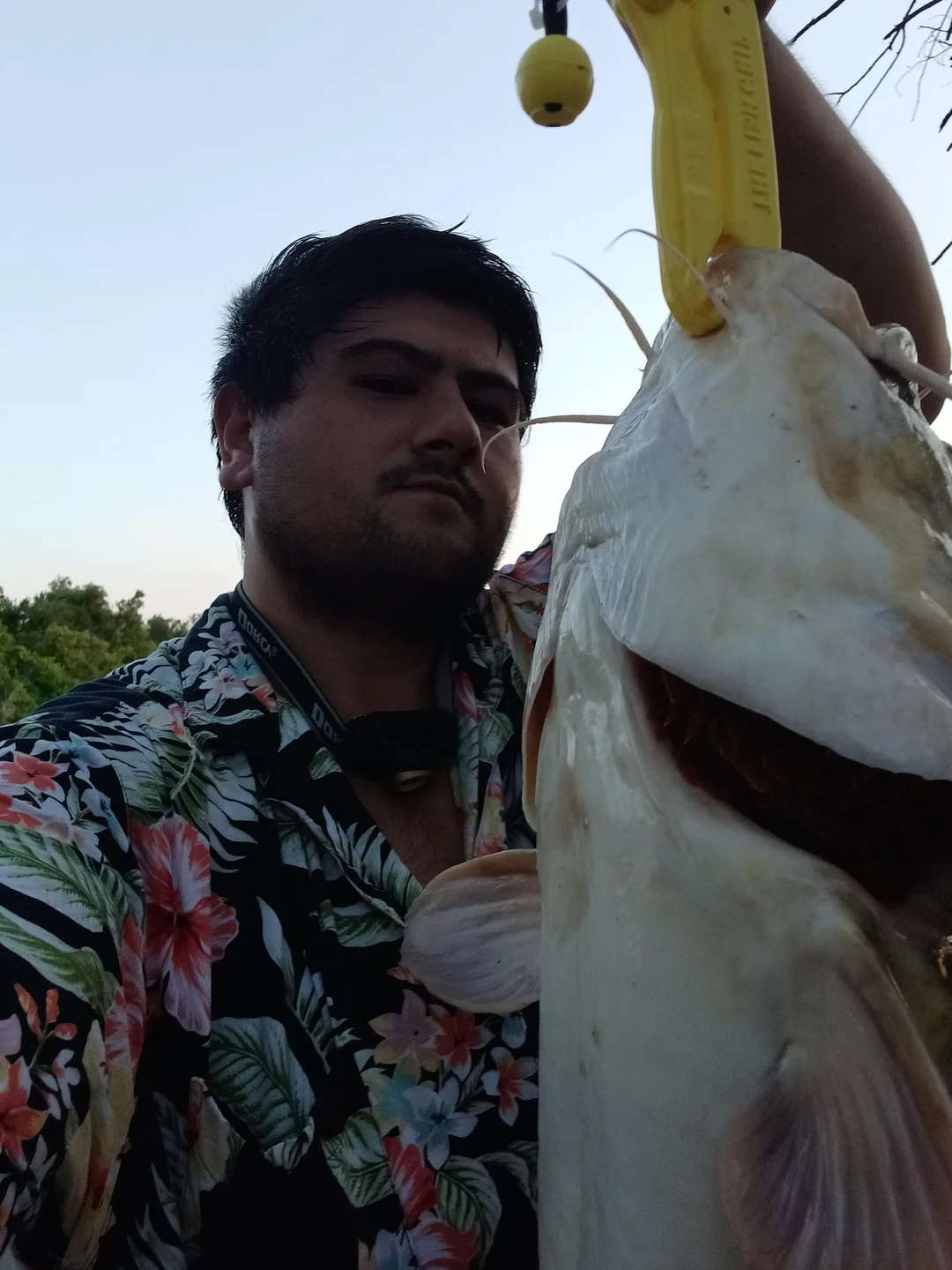 The angle makes it look bigger than it was but it was still a good 15 pounds on the scale ...