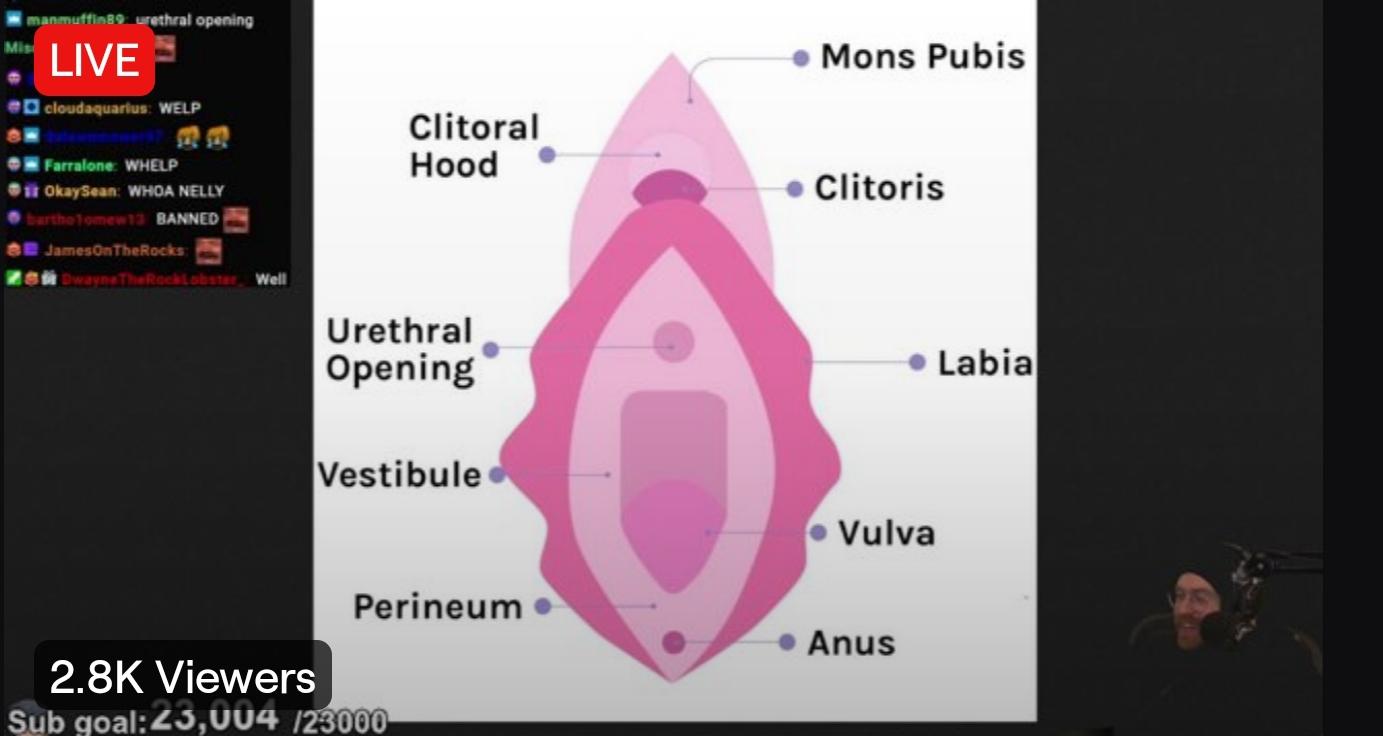 Great thumbnail | Scrolller