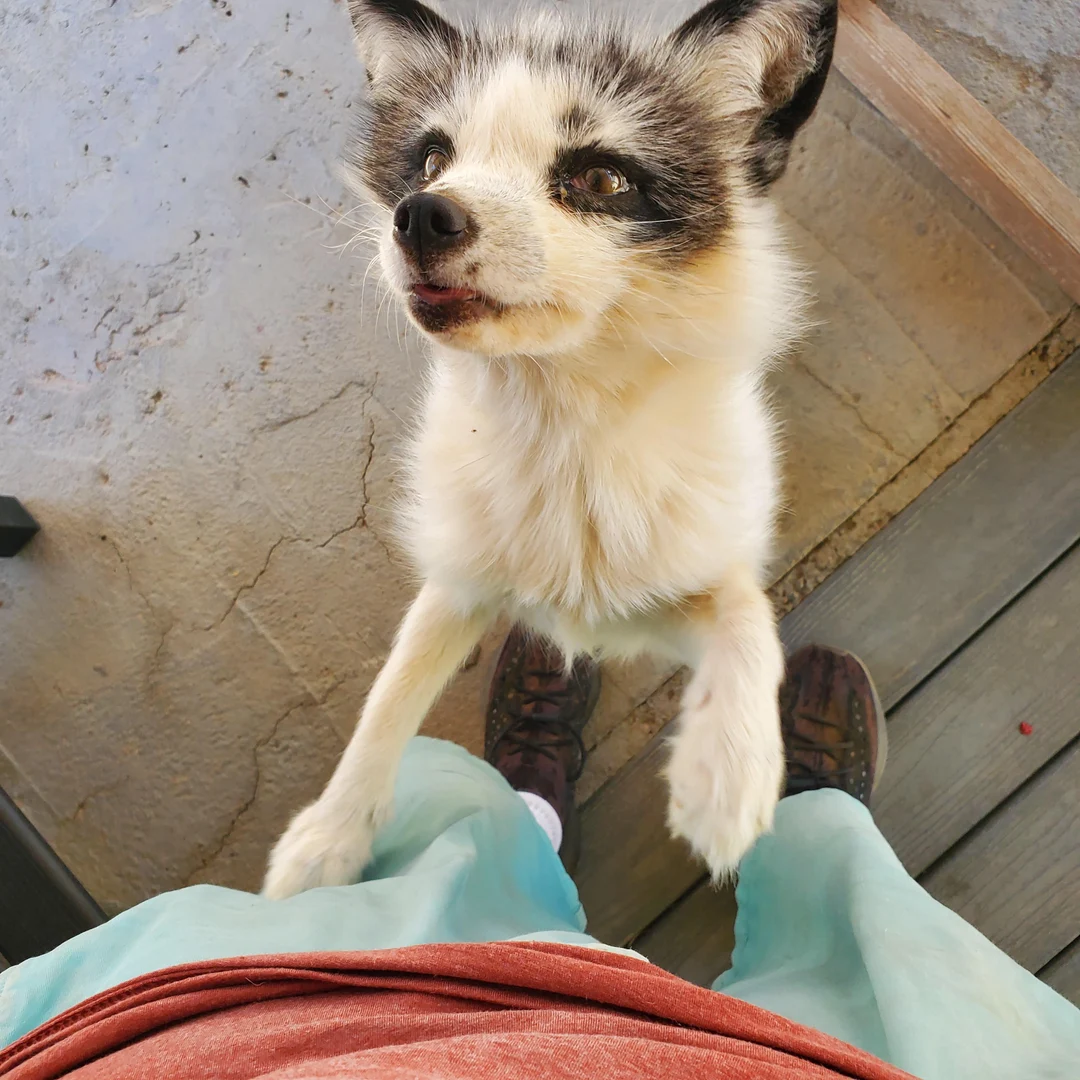 POV: You have cucumber [OC] | Scrolller