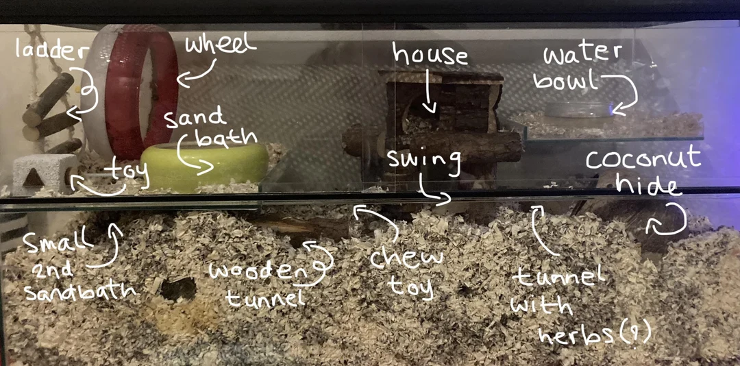What clutter can i add? | Scrolller