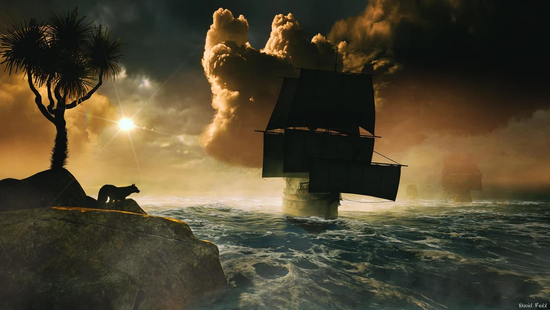 Discovery in the fog | Scrolller