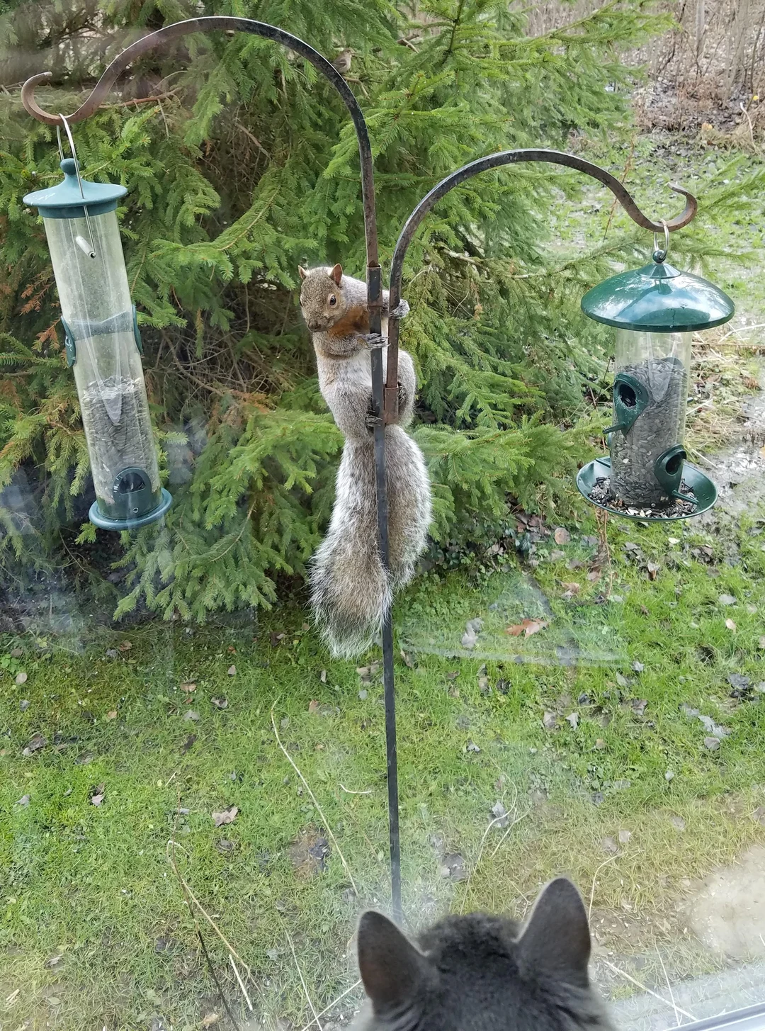 Standoff | Scrolller