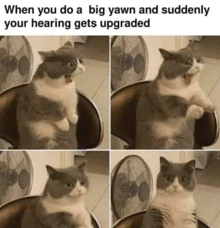 Soo true!! | Scrolller