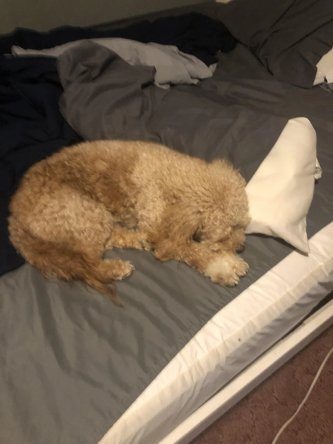 Everybody shut up she’s sleeping | Scrolller