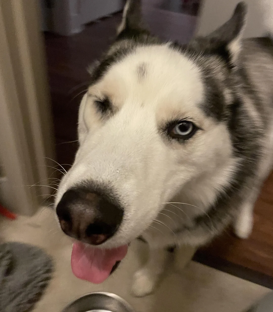 Goofy guy 😜 | Scrolller