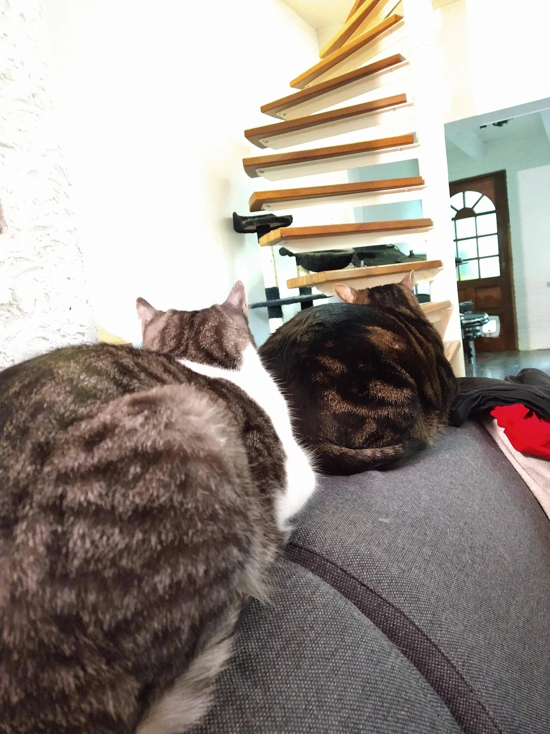 Loaf train | Scrolller