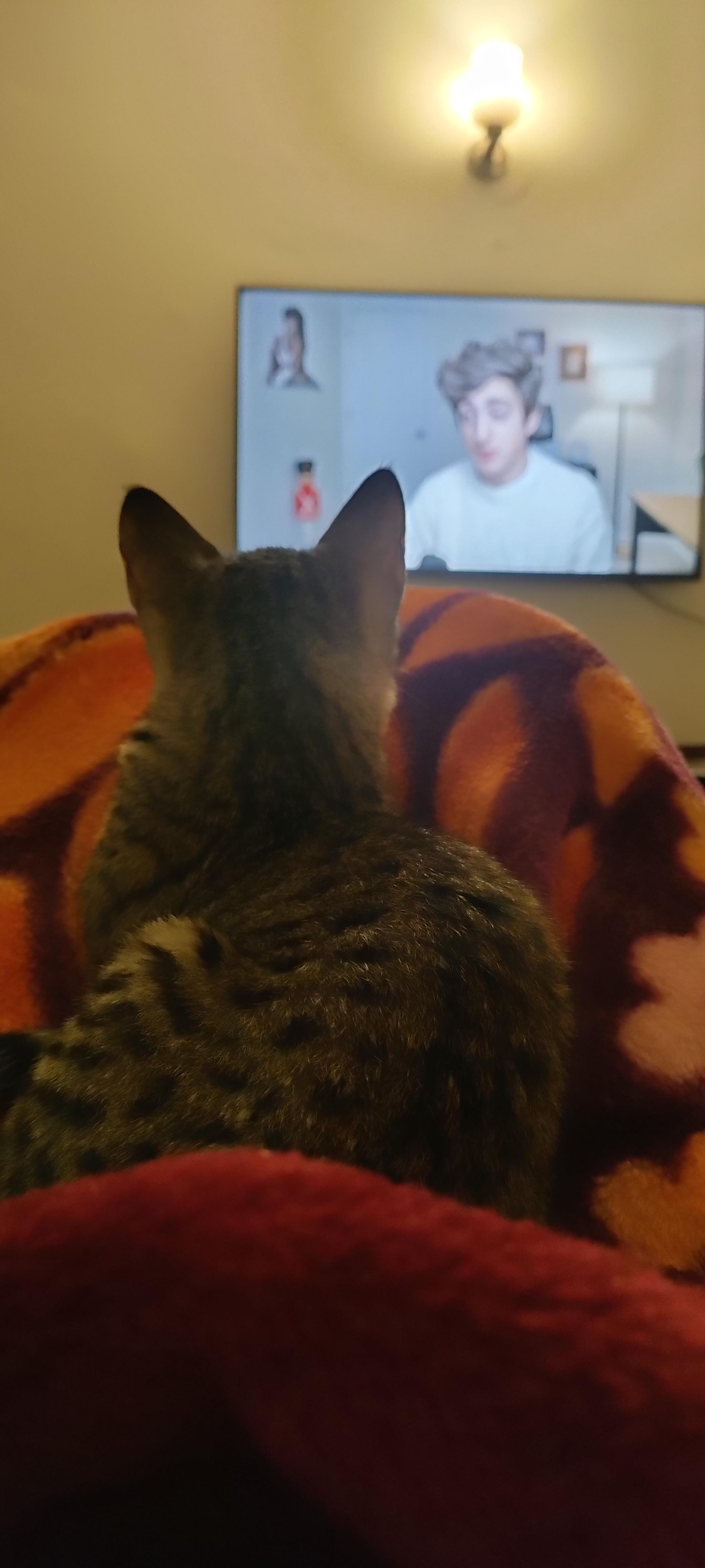 New member of the Greg Army! | Scrolller