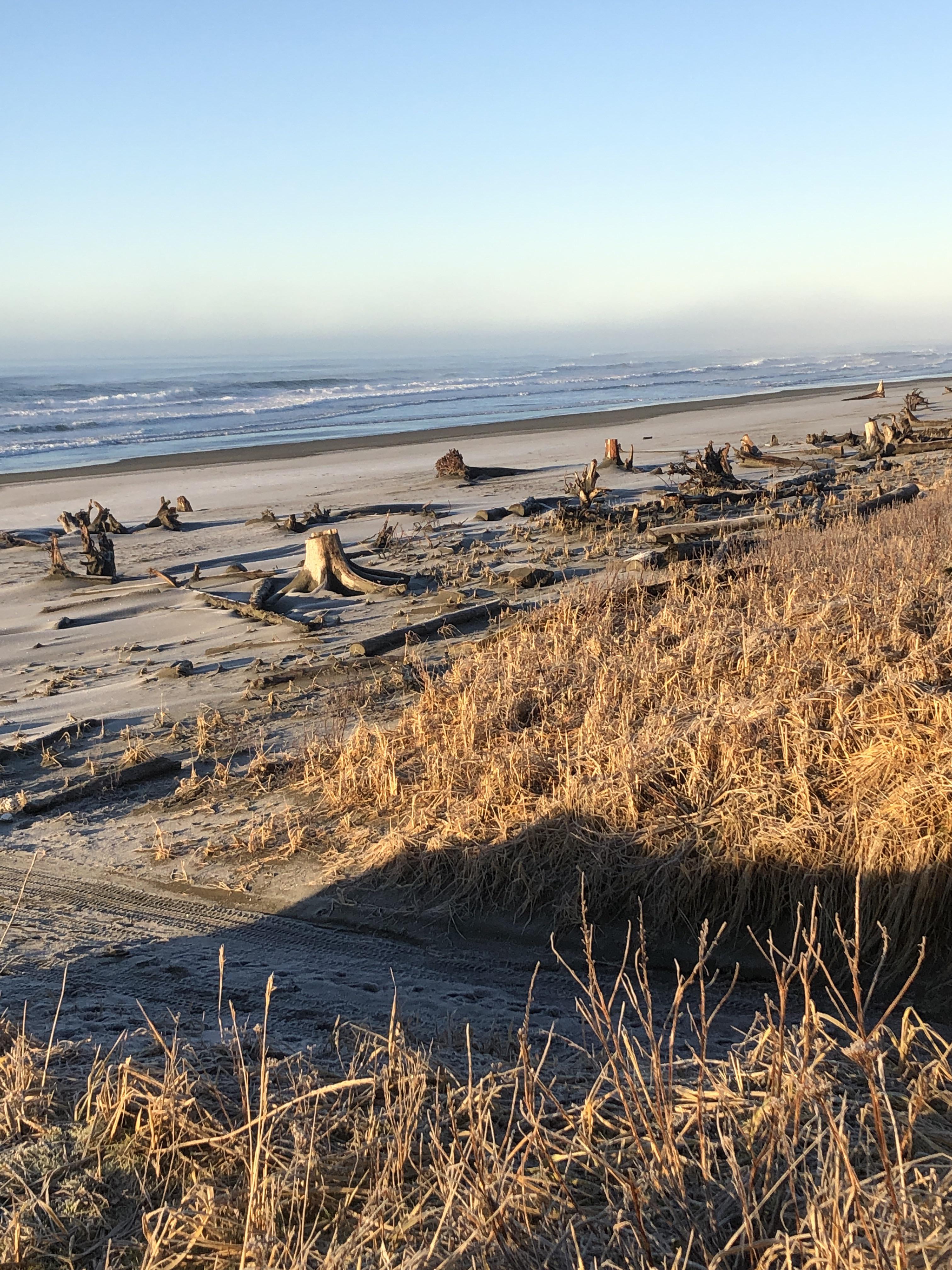 Frost covered beach in Alaska | Scrolller