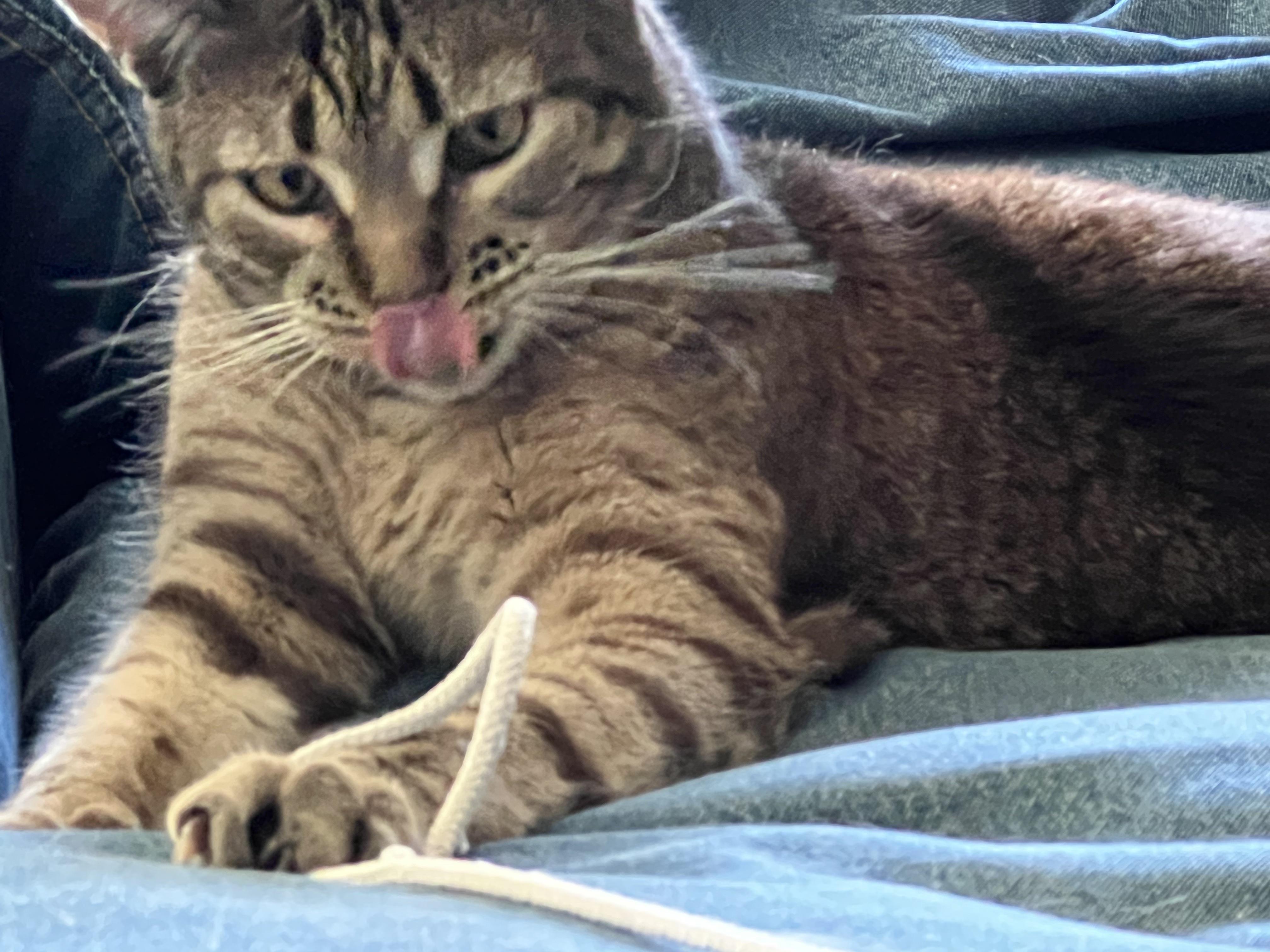 His ultimate enemy…the shoelace. | Scrolller