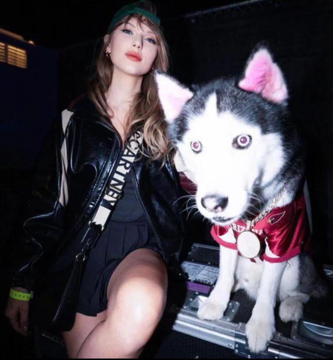 What is Ann doing with Koromaru? (Wrong answers only) | Scrolller