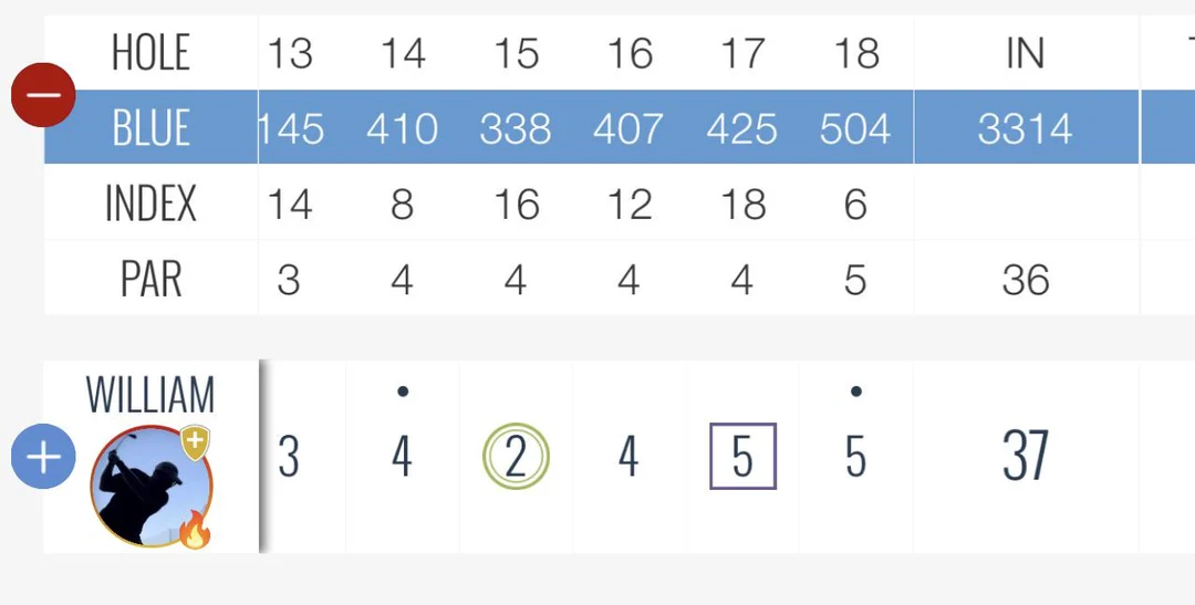 First time driving the green and I made the putt for Eagle! | Scrolller