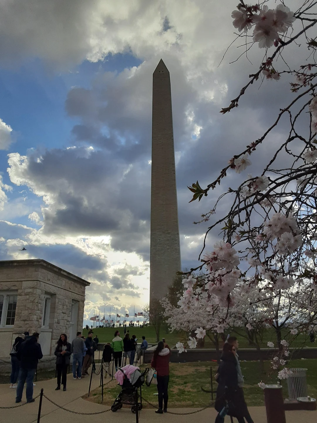 Washington D.C., USA | Scrolller