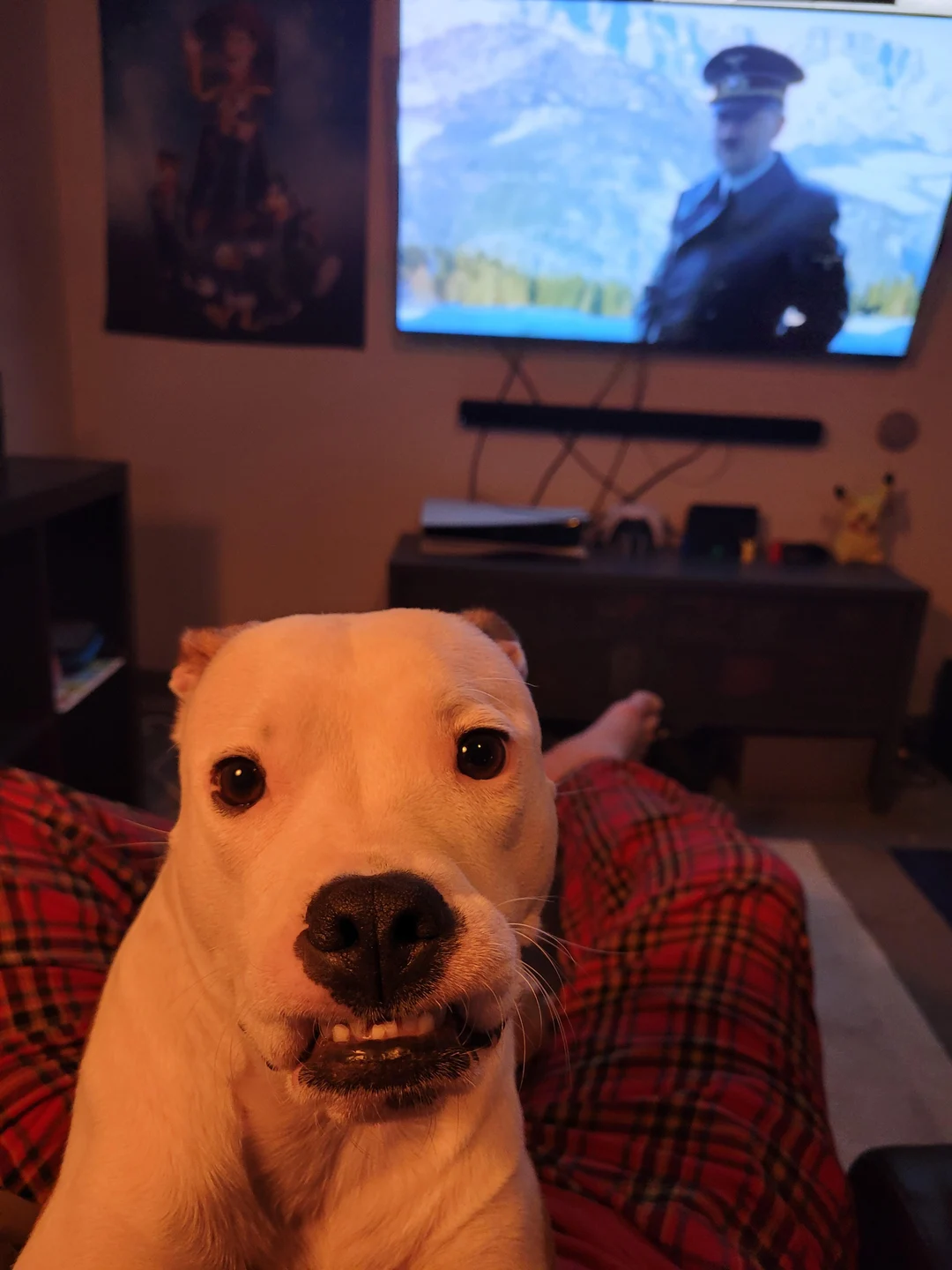 Mabel Doesnt Like Ww2 Documentaries Scrolller