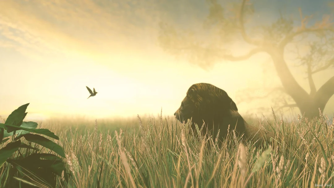 The king and the bird | Scrolller