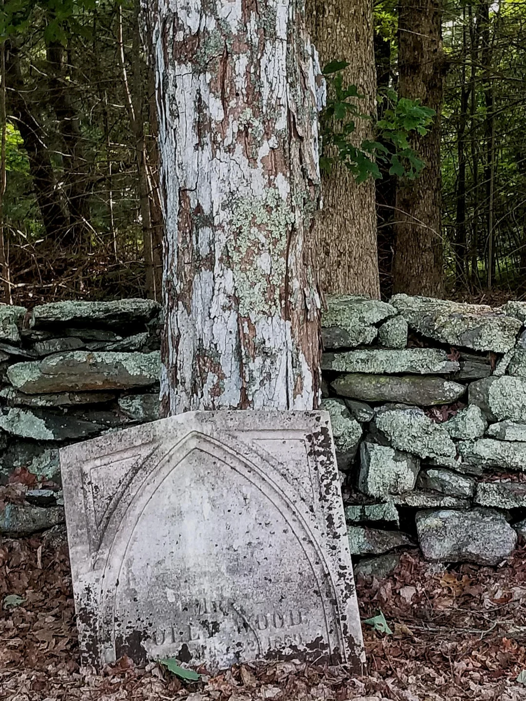 Forgotten | Scrolller