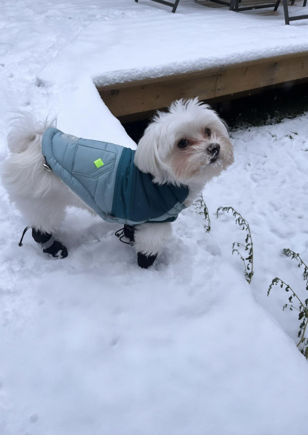 First snowfall of the year! | Scrolller
