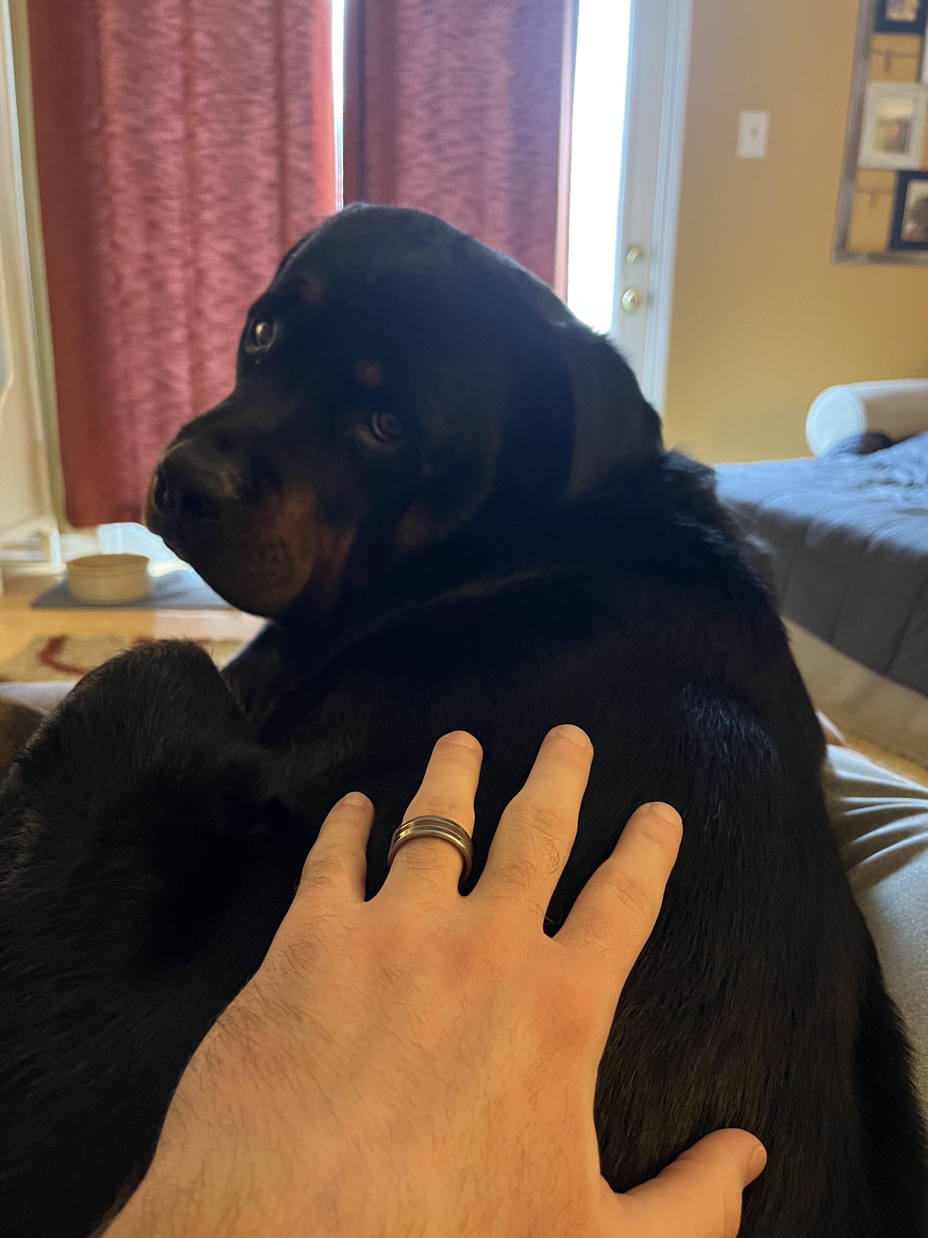 My mom & dad got married!! | Scrolller