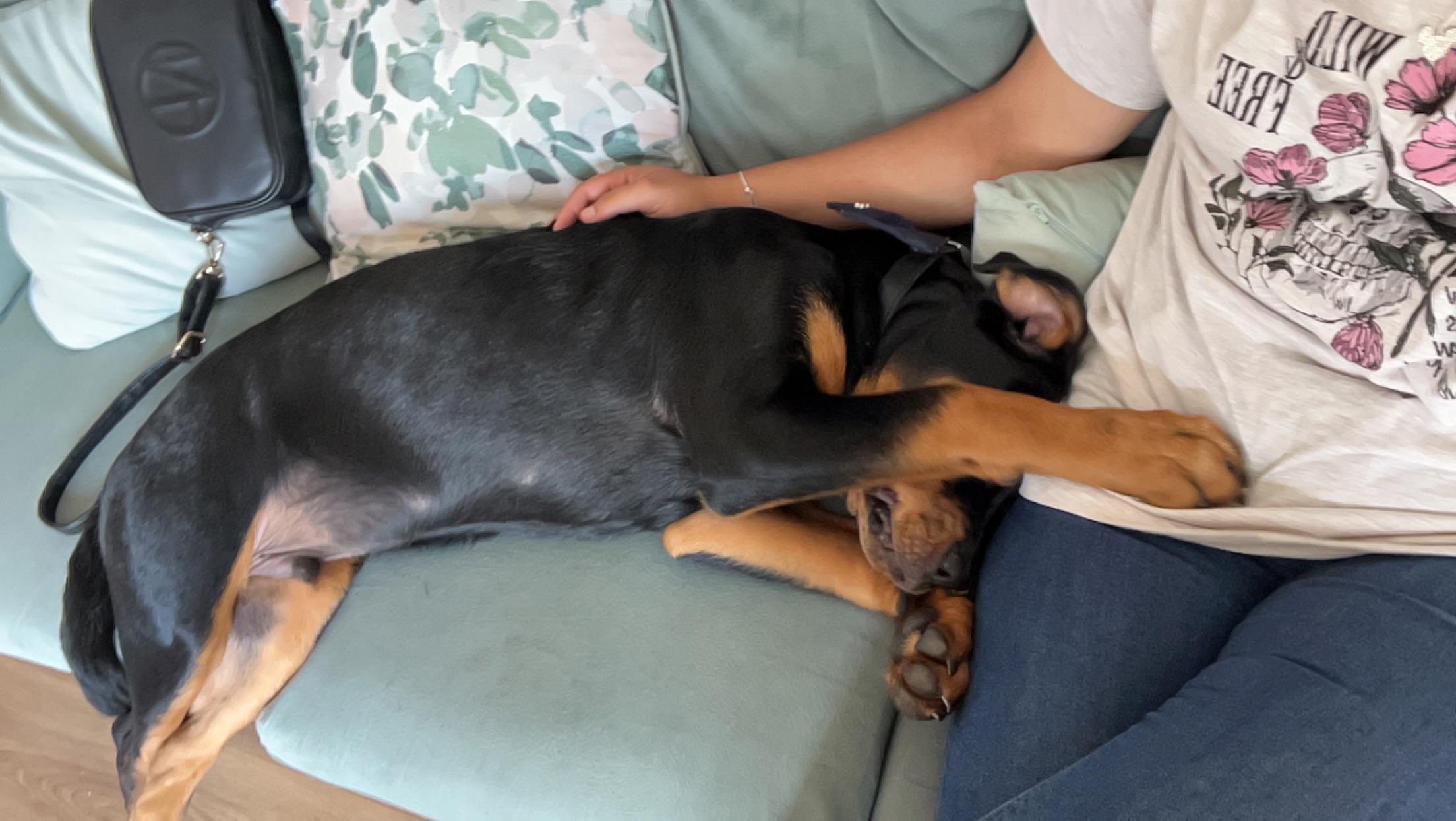 Double Standards 🙃 | Scrolller