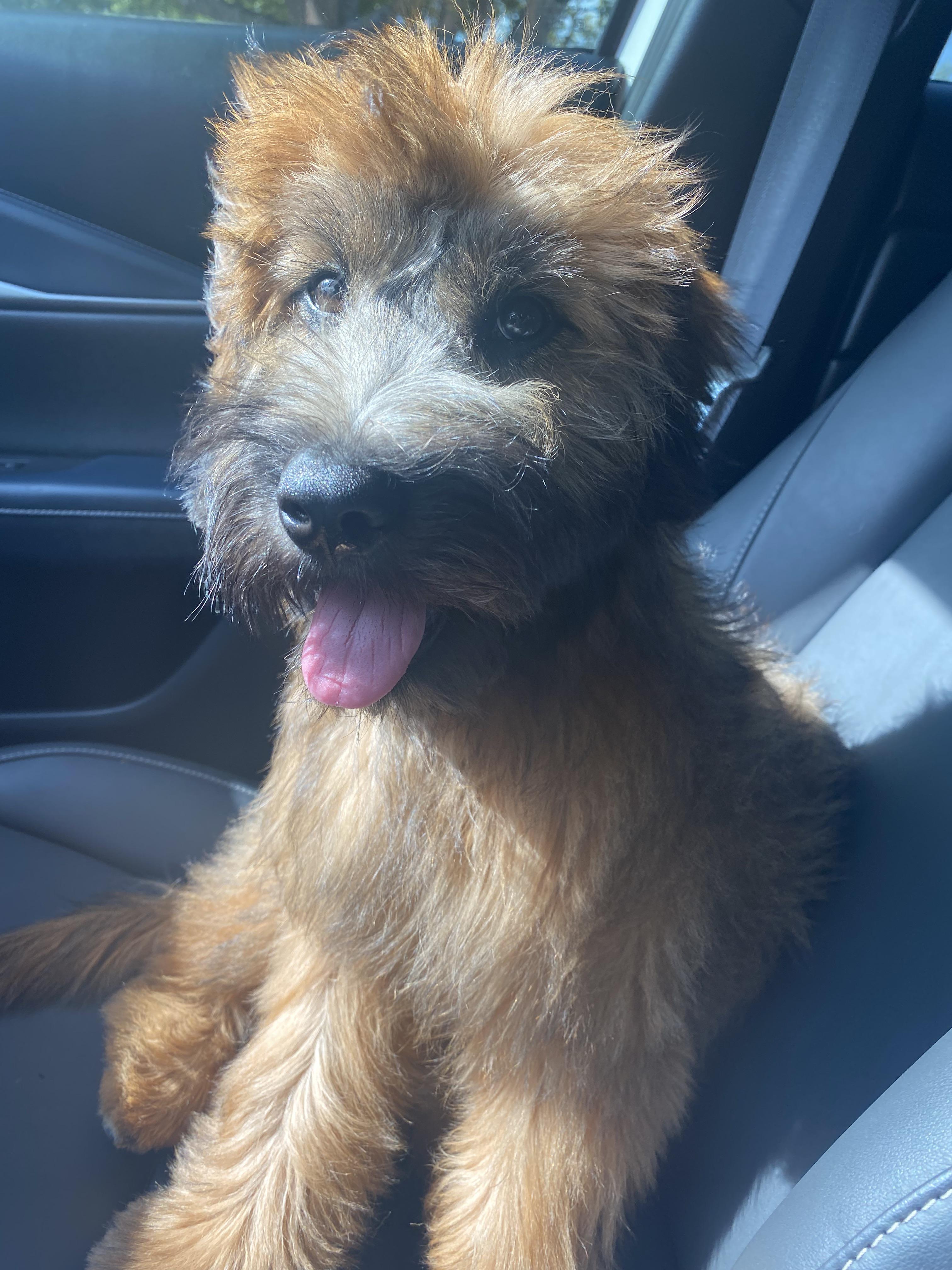 Watch Hazel grow | Scrolller