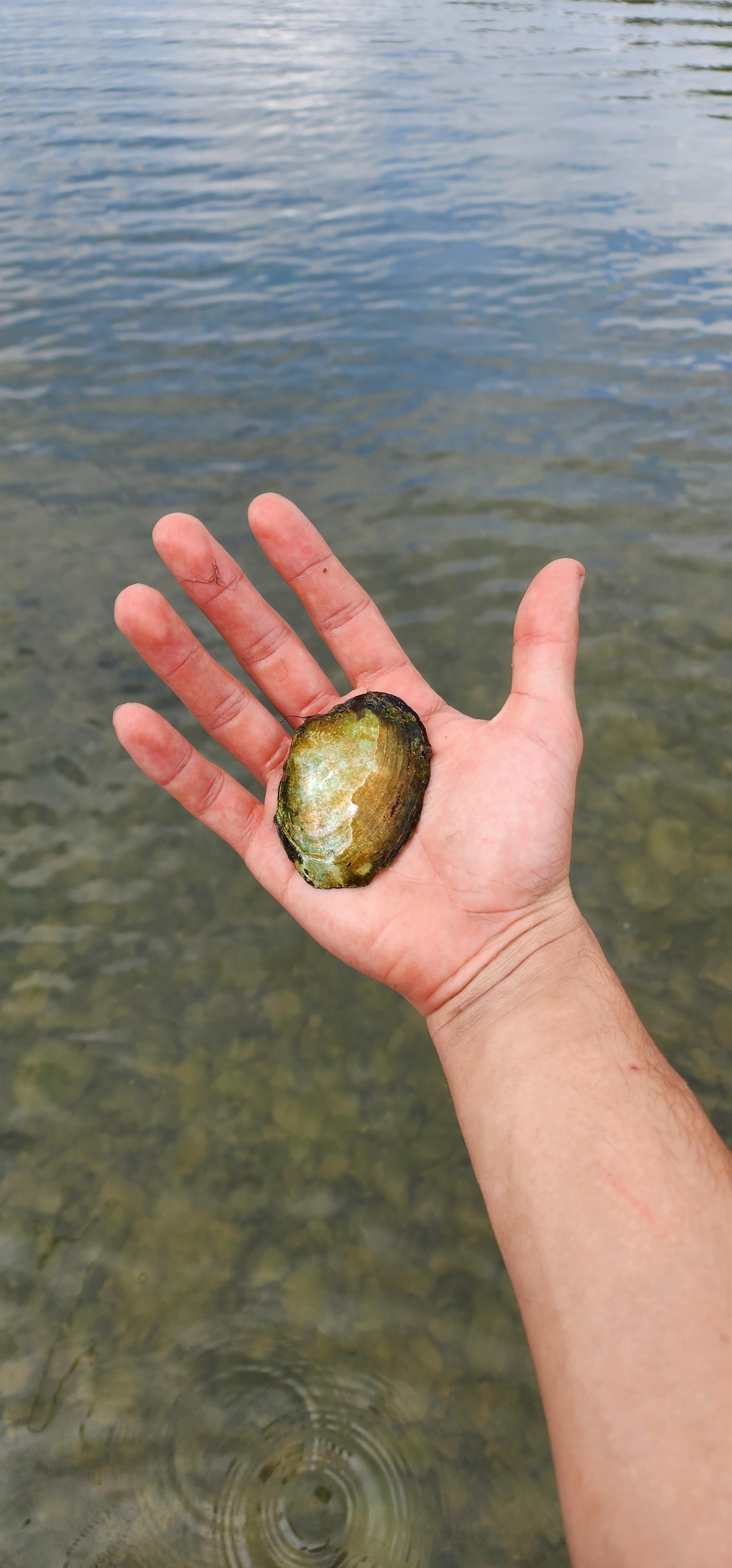 Fishing U.S./Mexico border | Scrolller