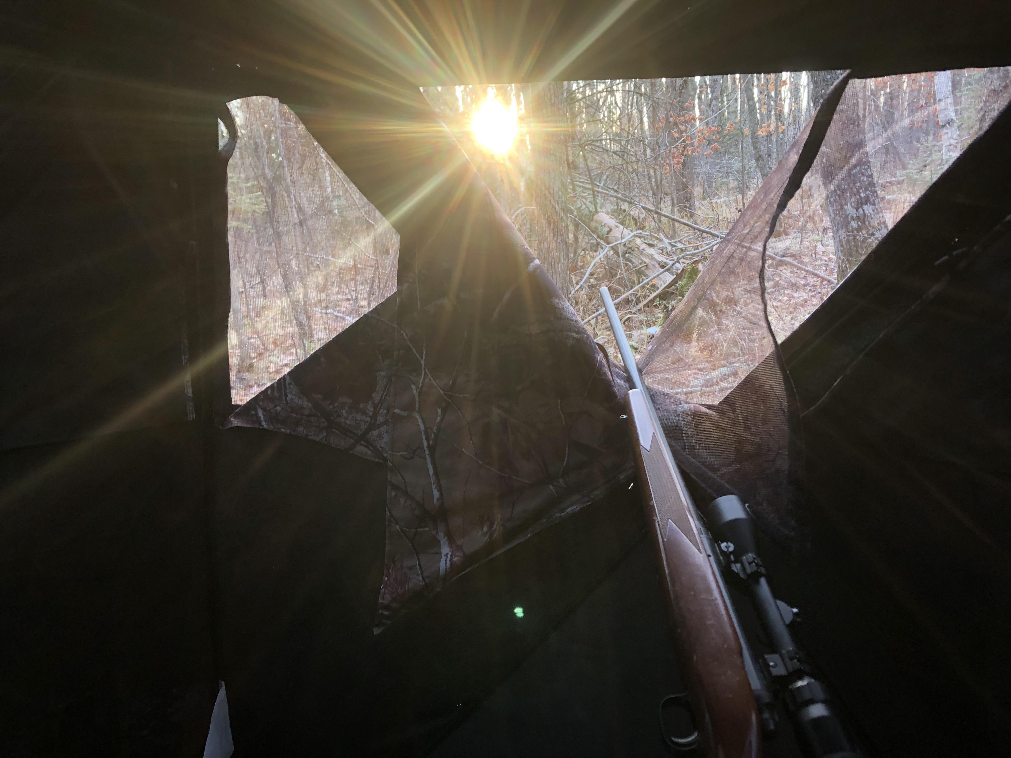 Mn spike buck | Scrolller