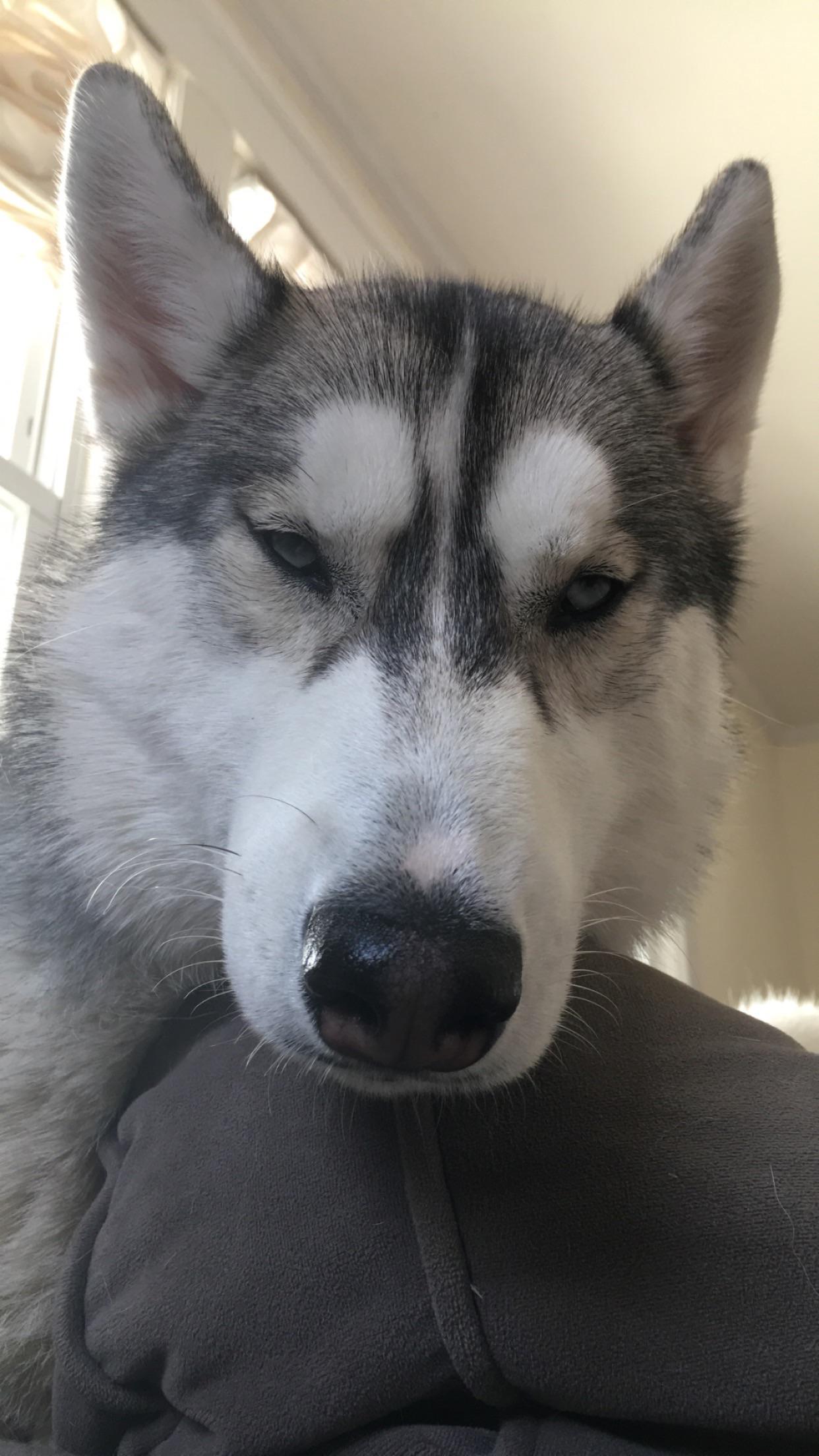 Meet Kaia ️ | Scrolller