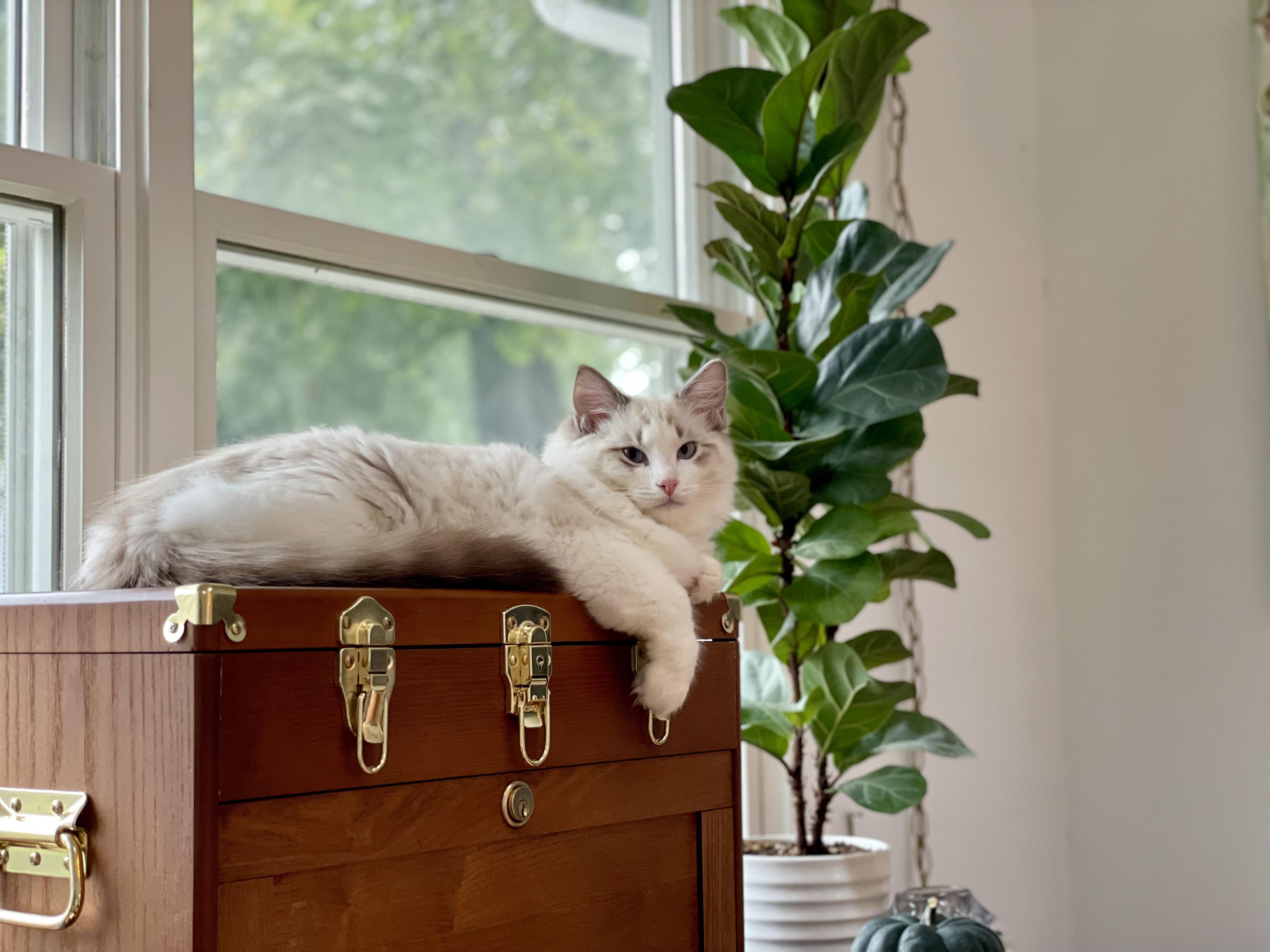 Elwood is ready for his first fall | Scrolller