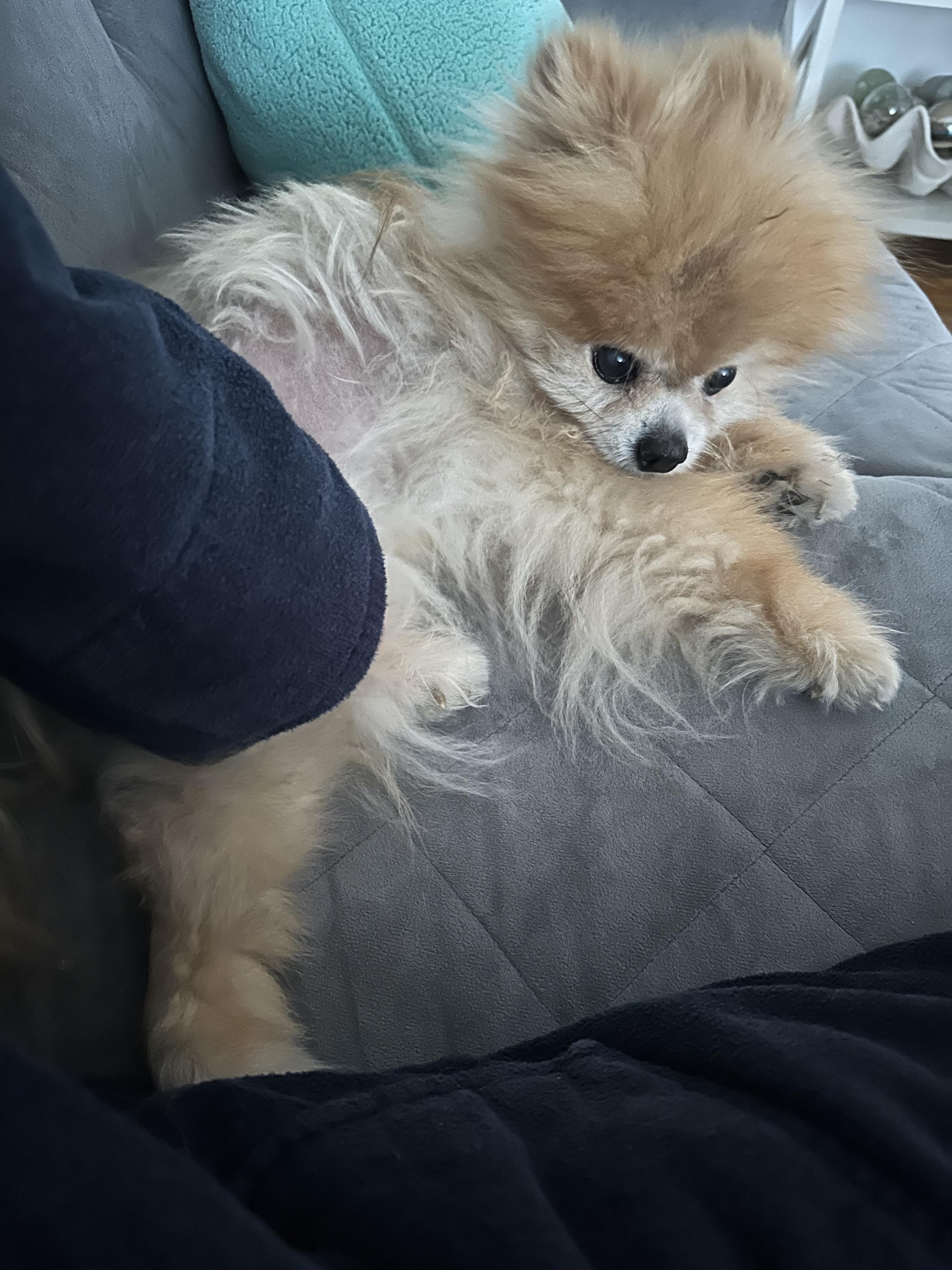 Jimmy 2025 | Scrolller