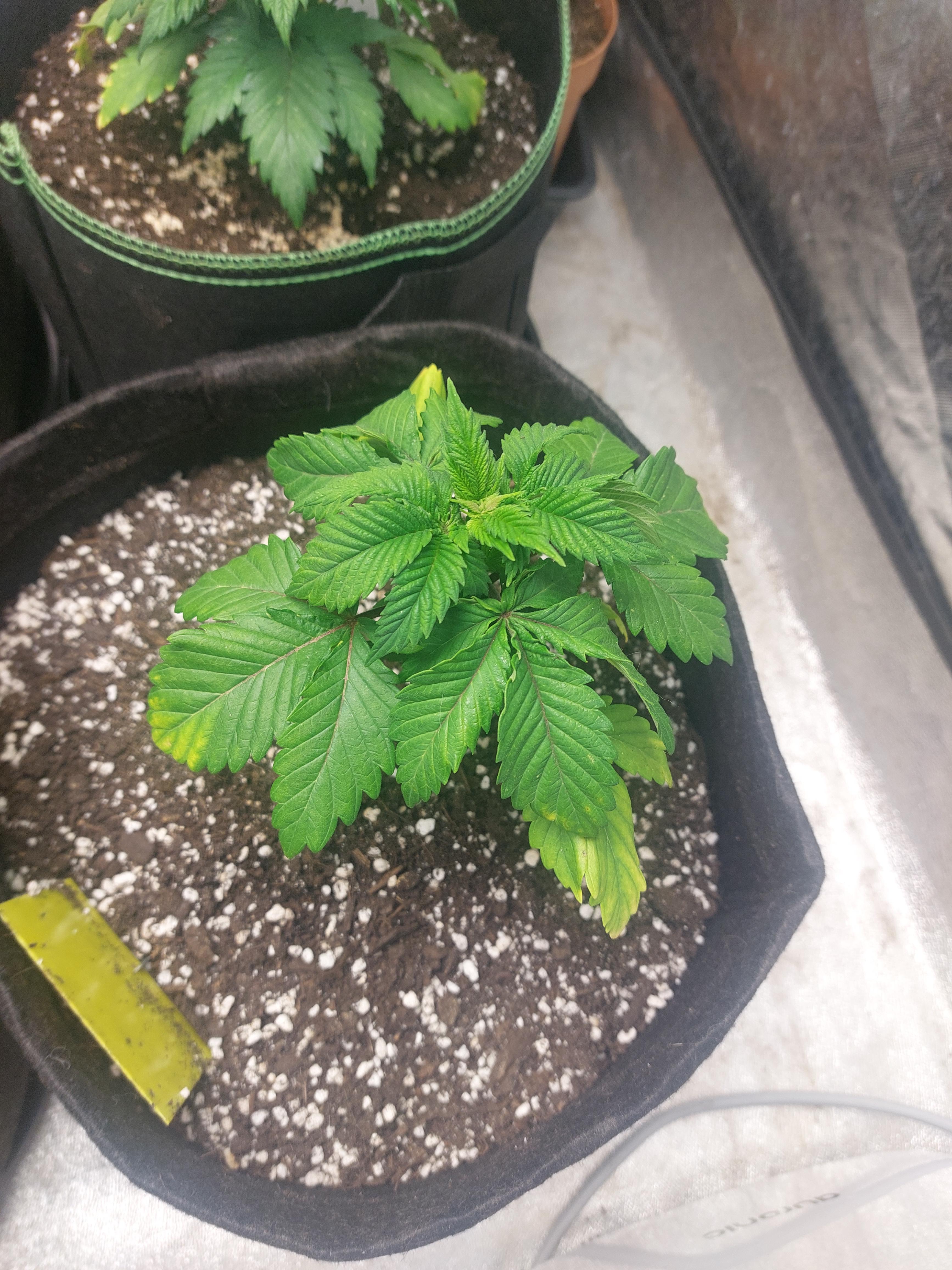 Time for nutrients? | Scrolller