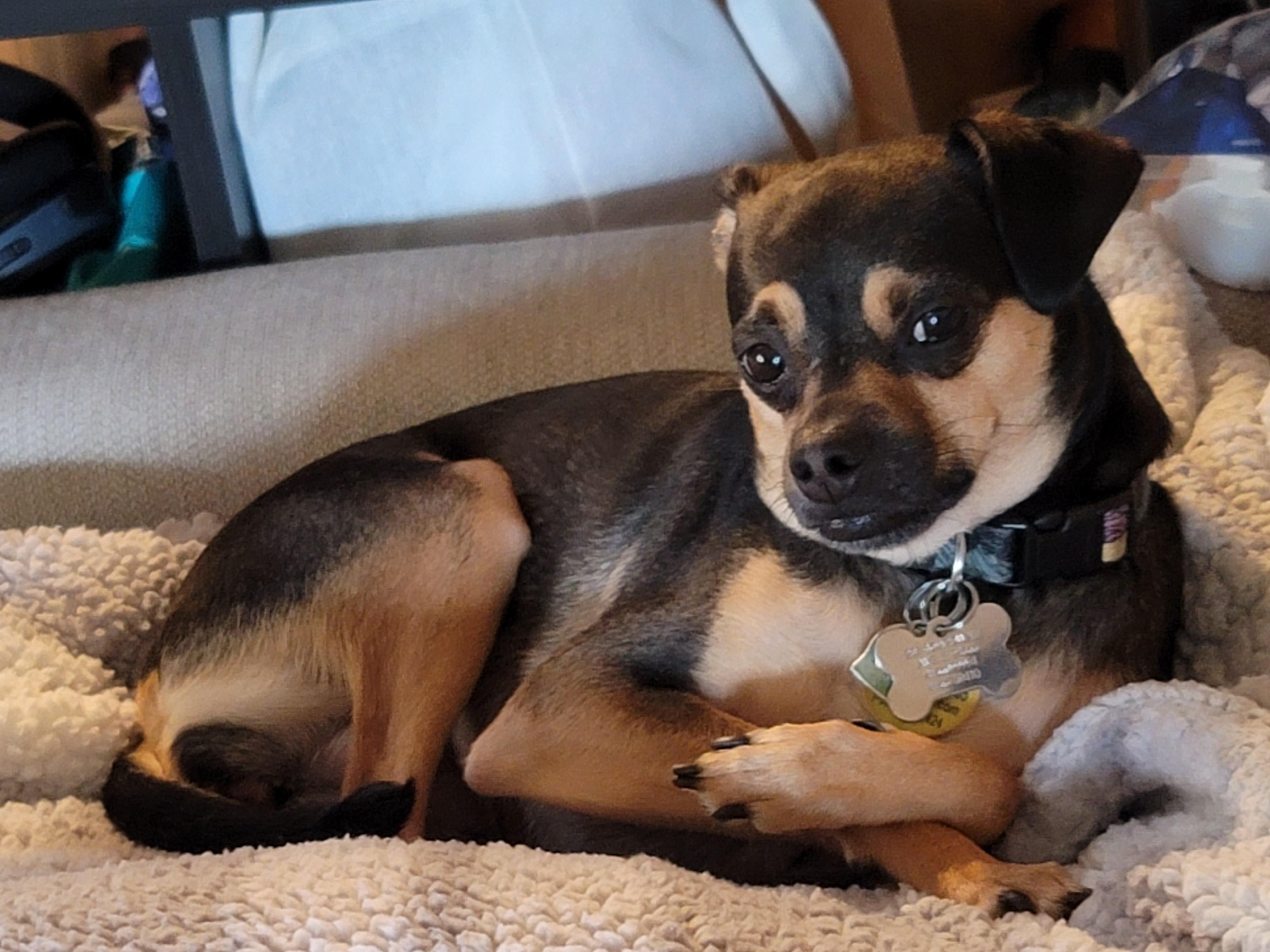 Criss cross applesauce | Scrolller