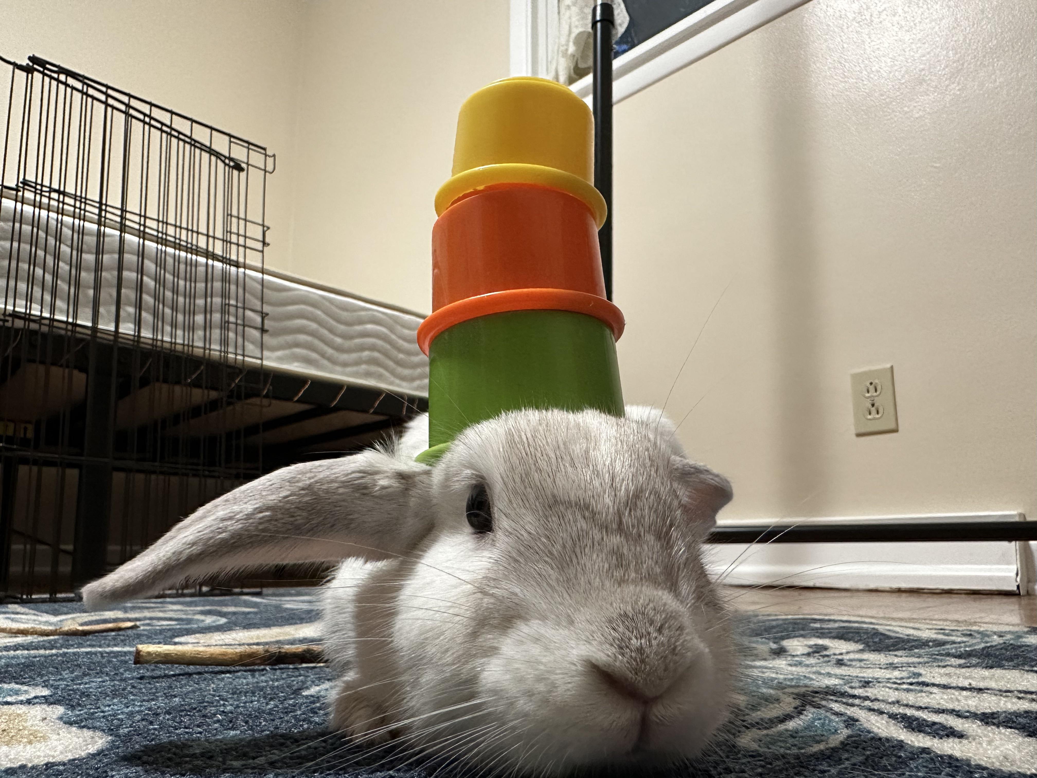 One, two, three! | Scrolller