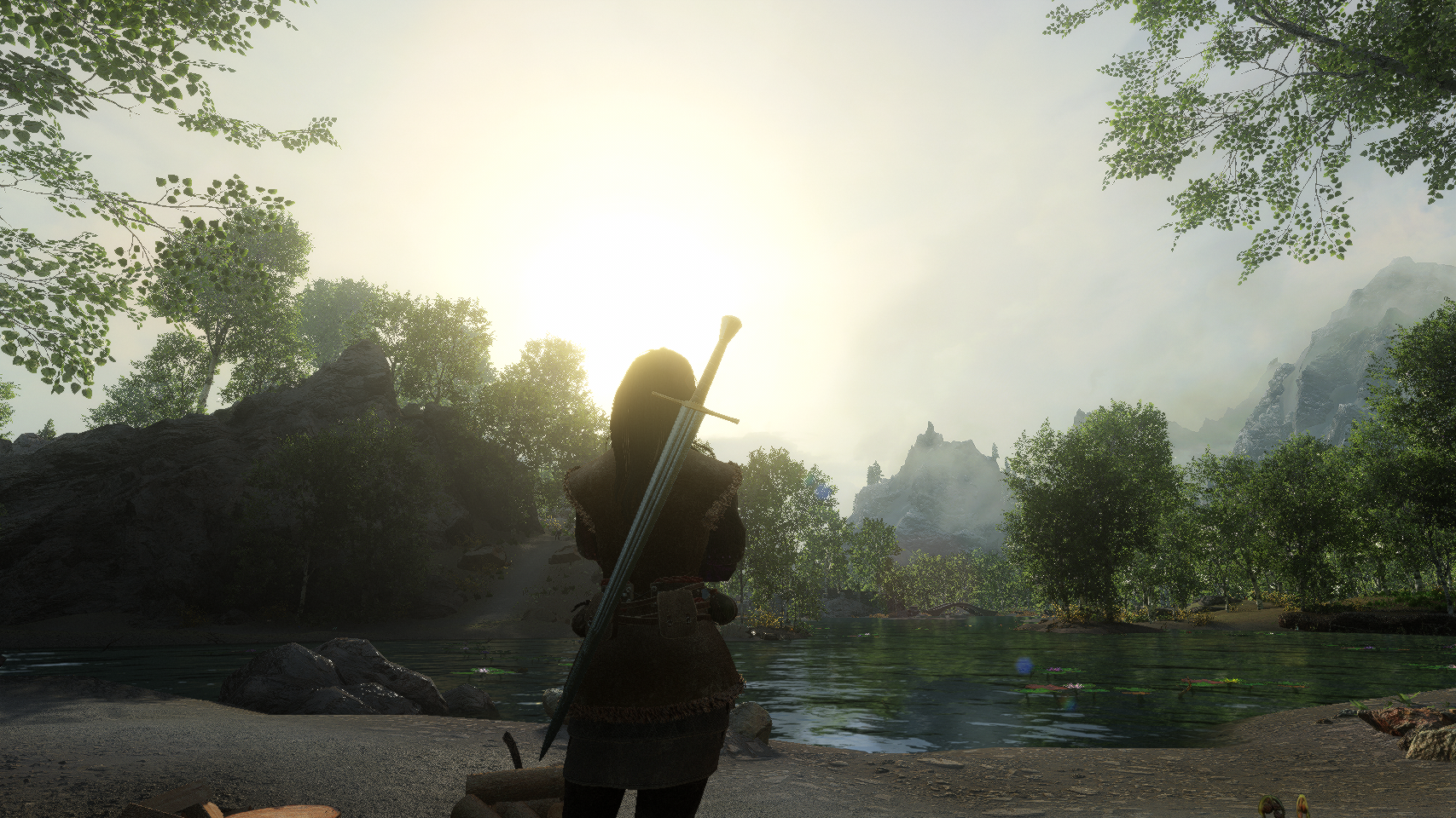 The best looking skyrim of all time | Scrolller