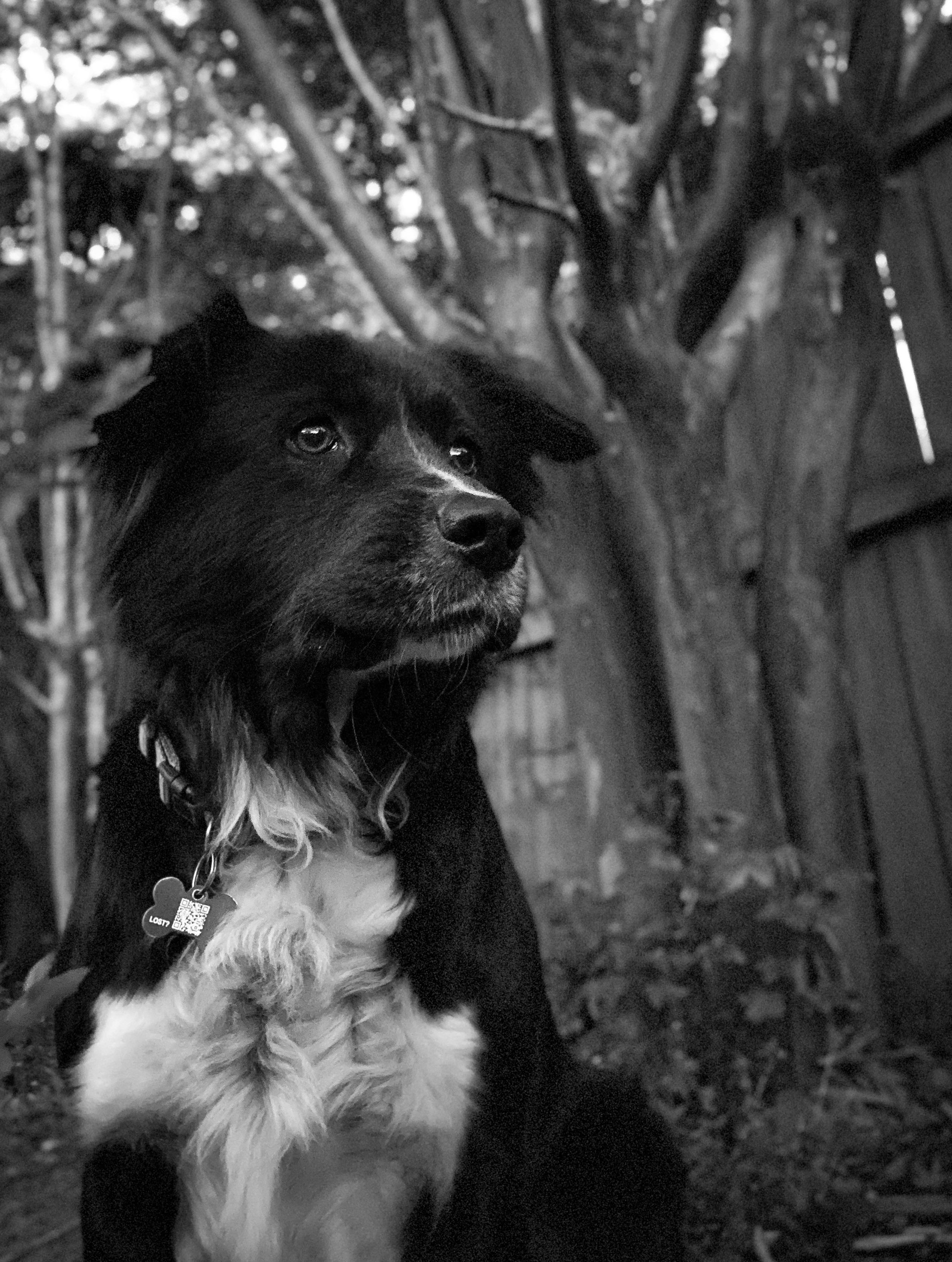 Bella :) | Scrolller