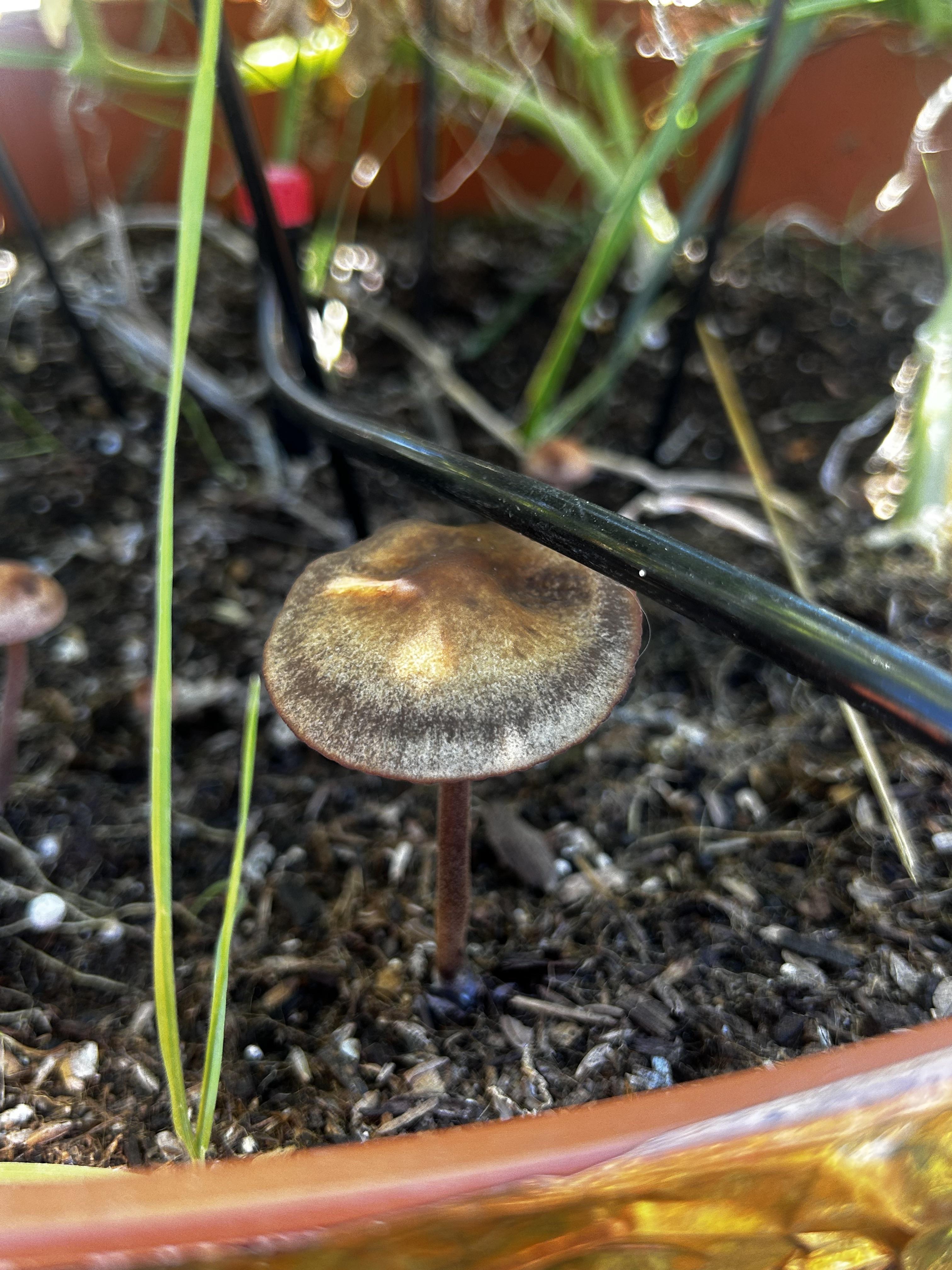 Does anyone recognize these? | Scrolller