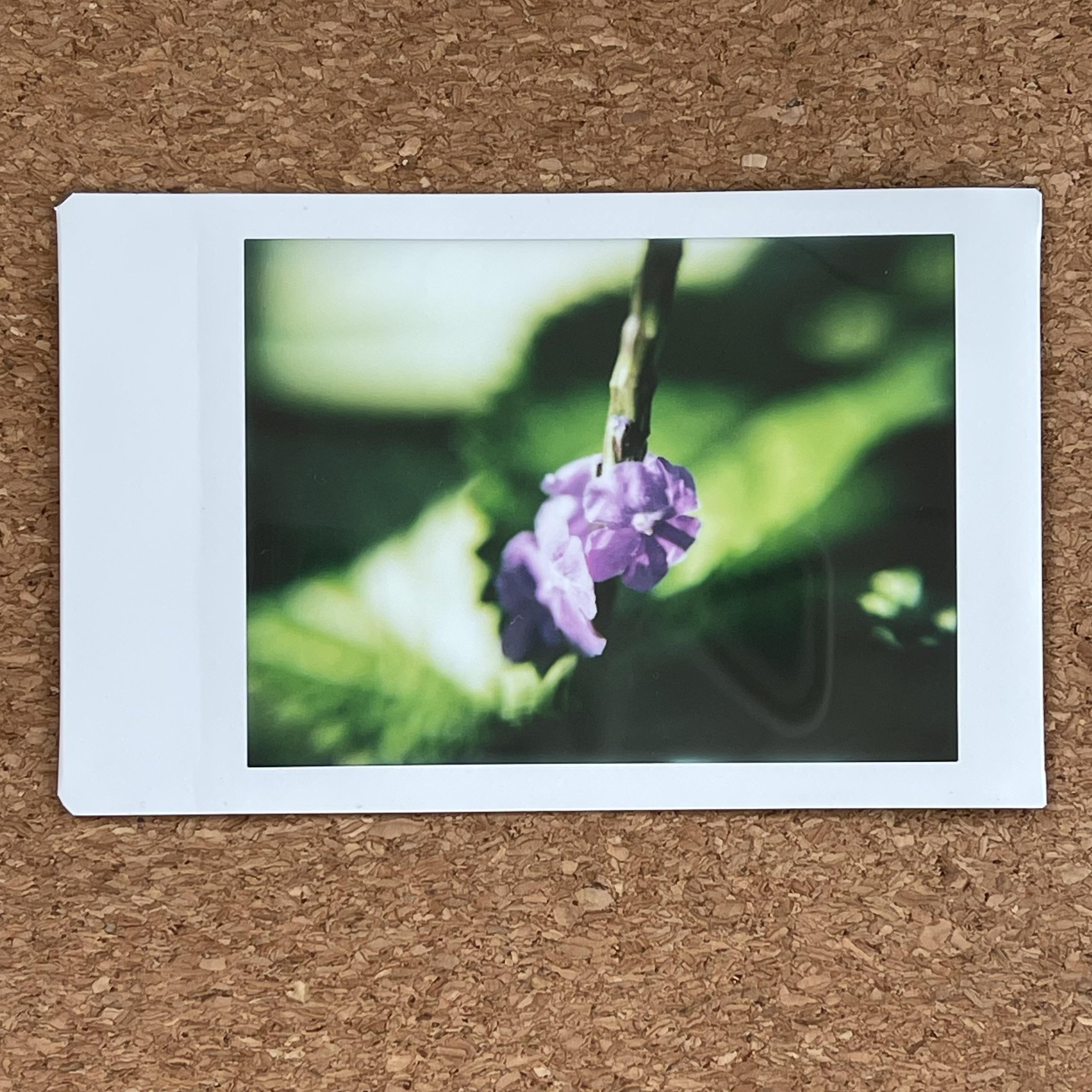 Garden Macro | Scrolller