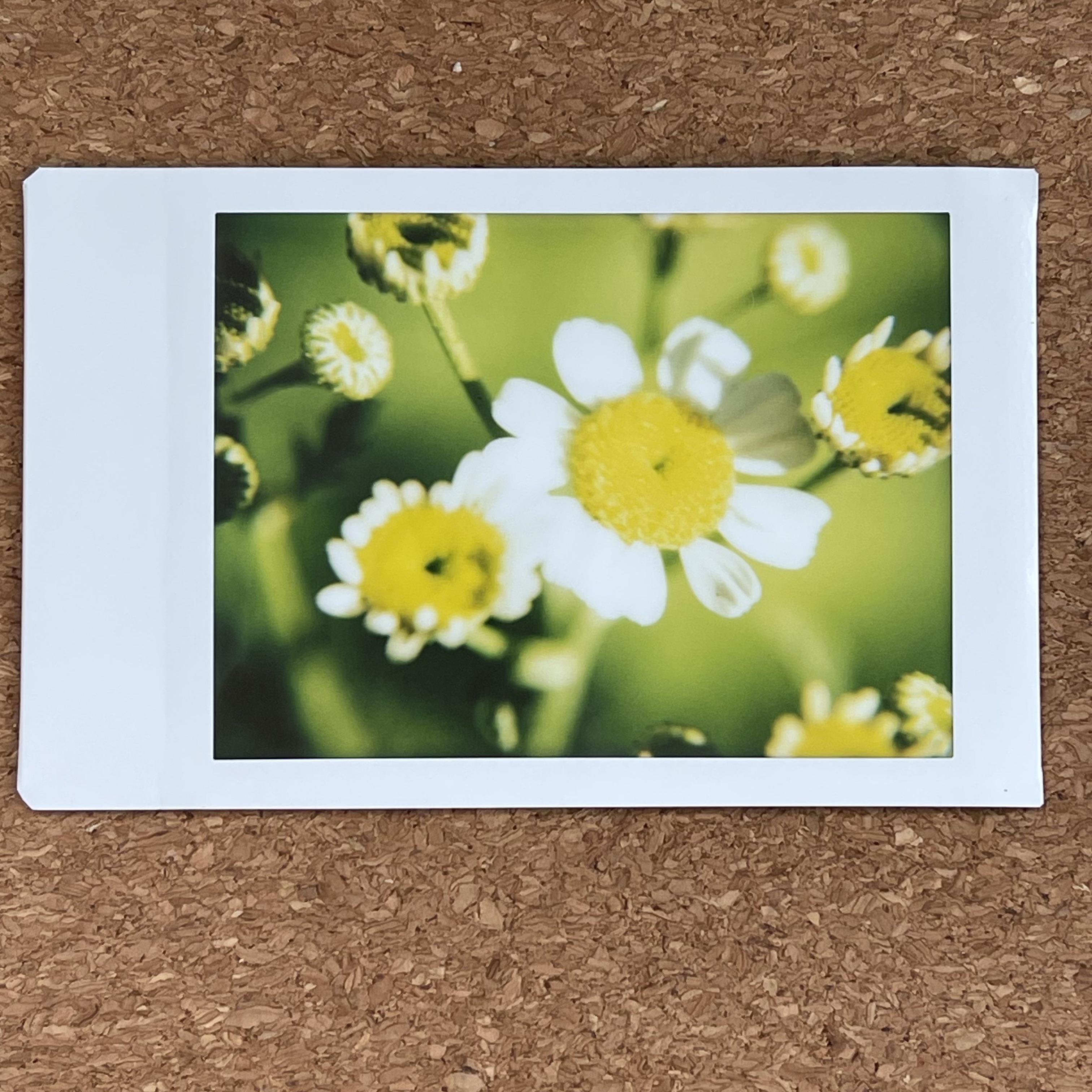 Garden Macro | Scrolller