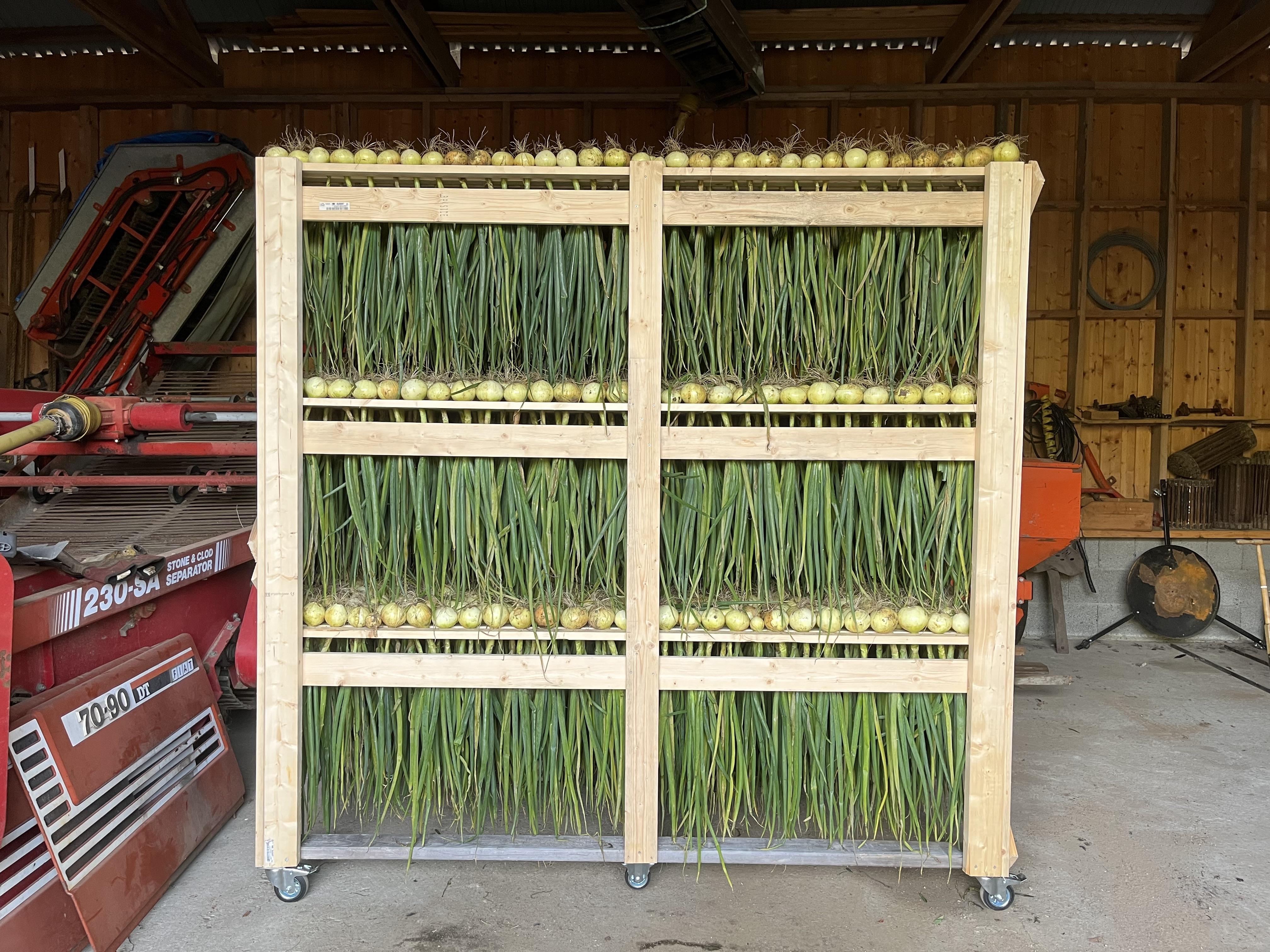Onion drying rack | Scrolller