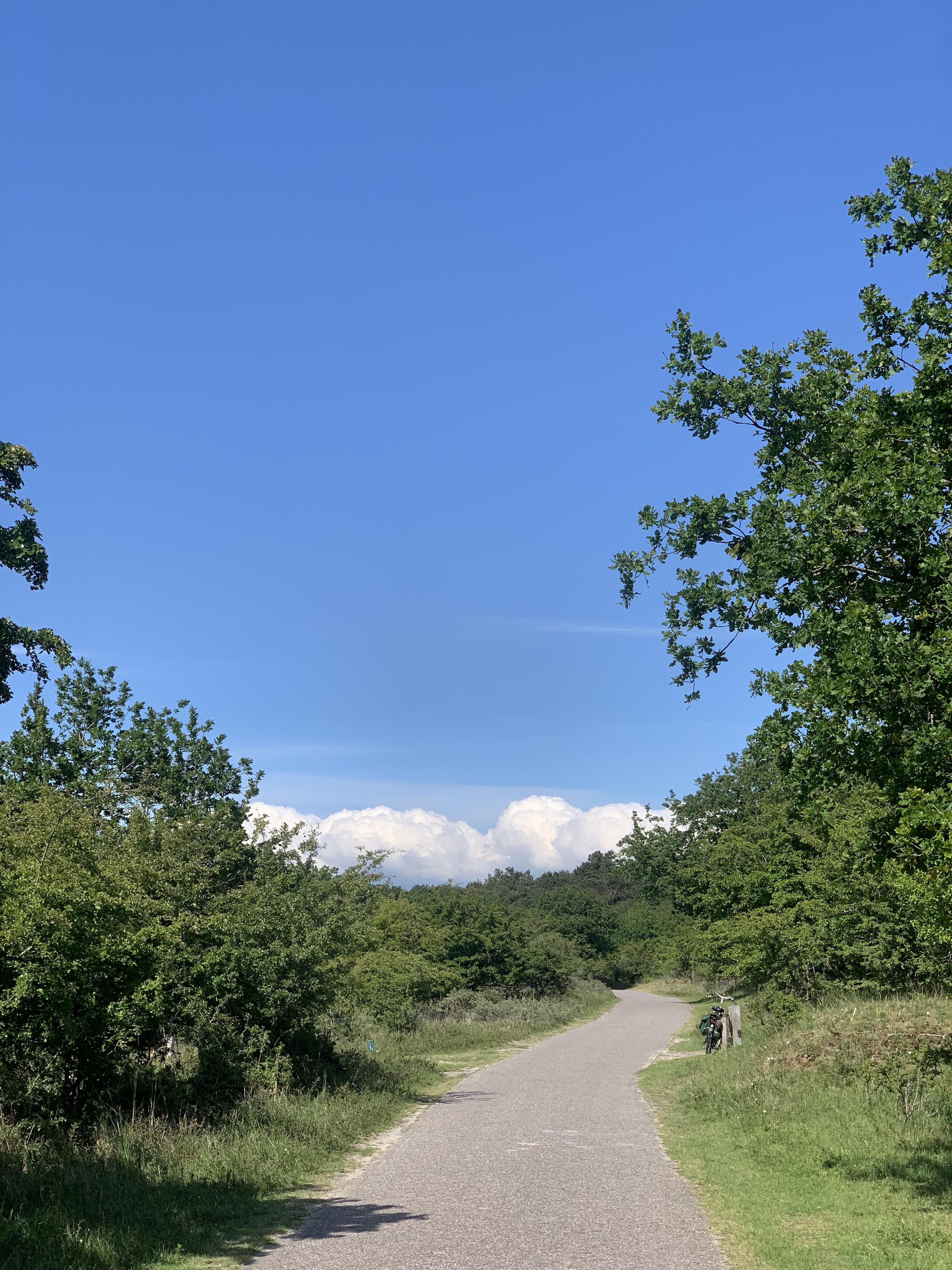 Haarlem, Netherlands | Scrolller