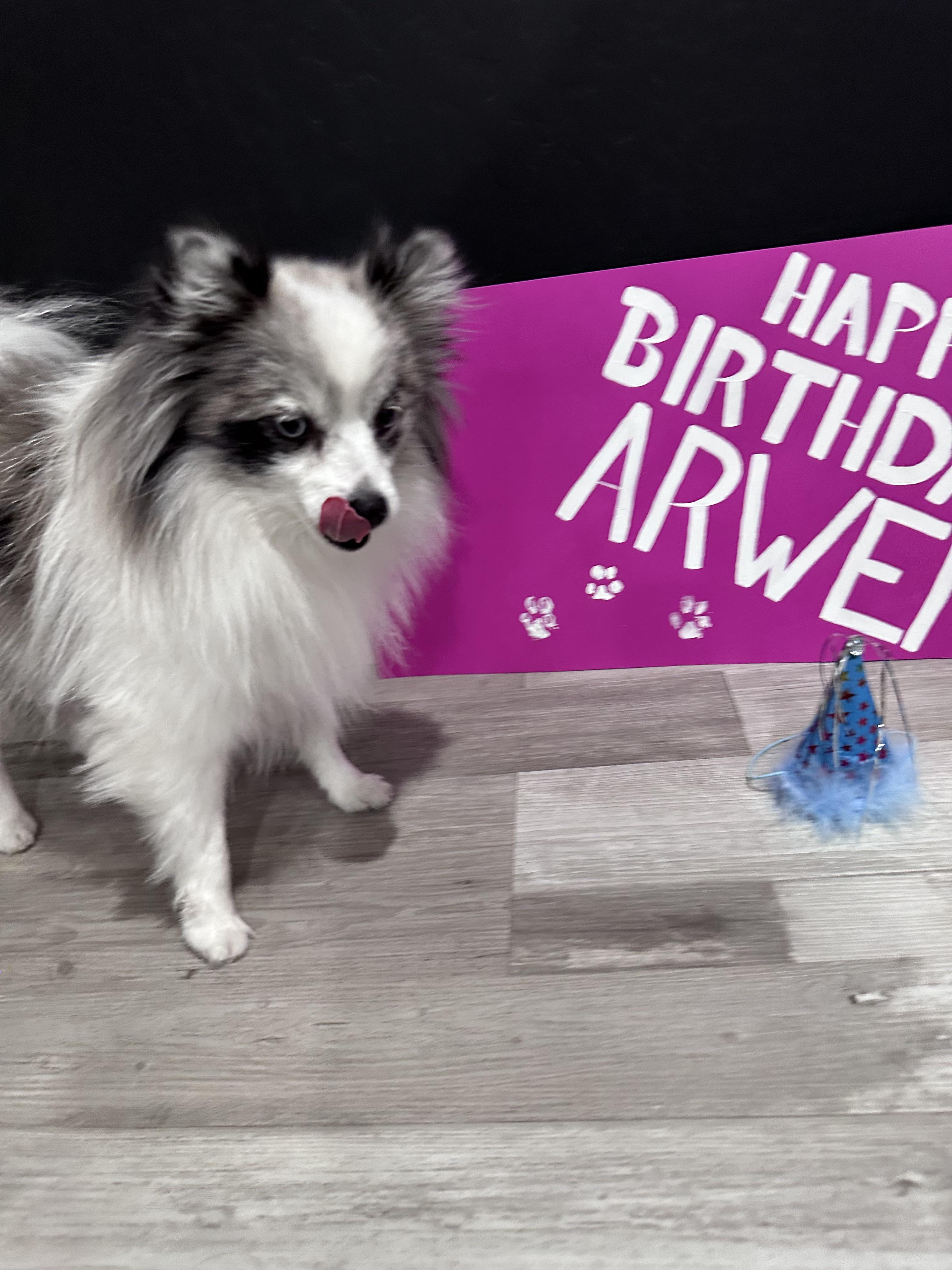 Arwens fourth birthday!! | Scrolller
